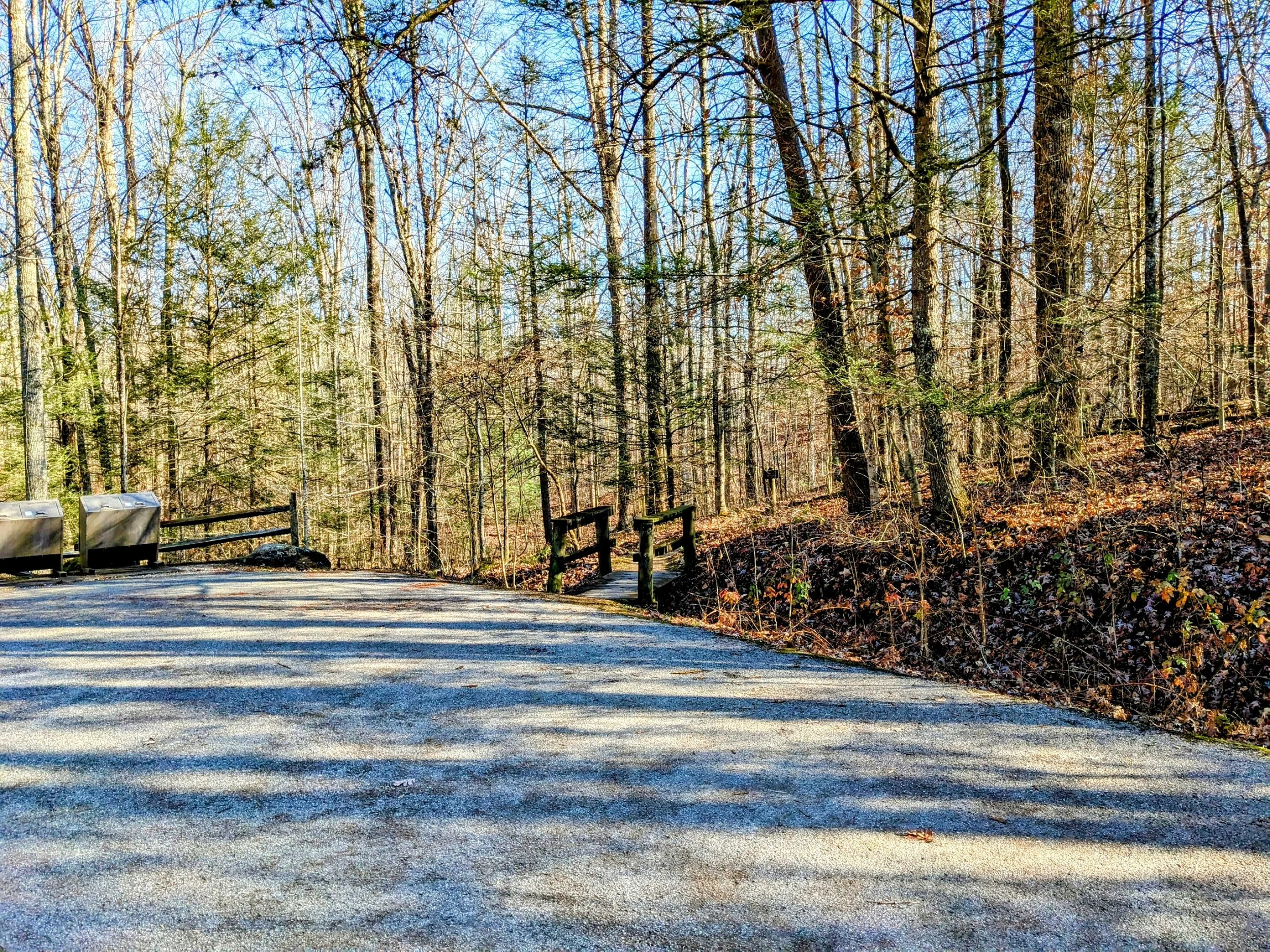 Koomer Ridge Campground Loop — Kentucky Hiker Project