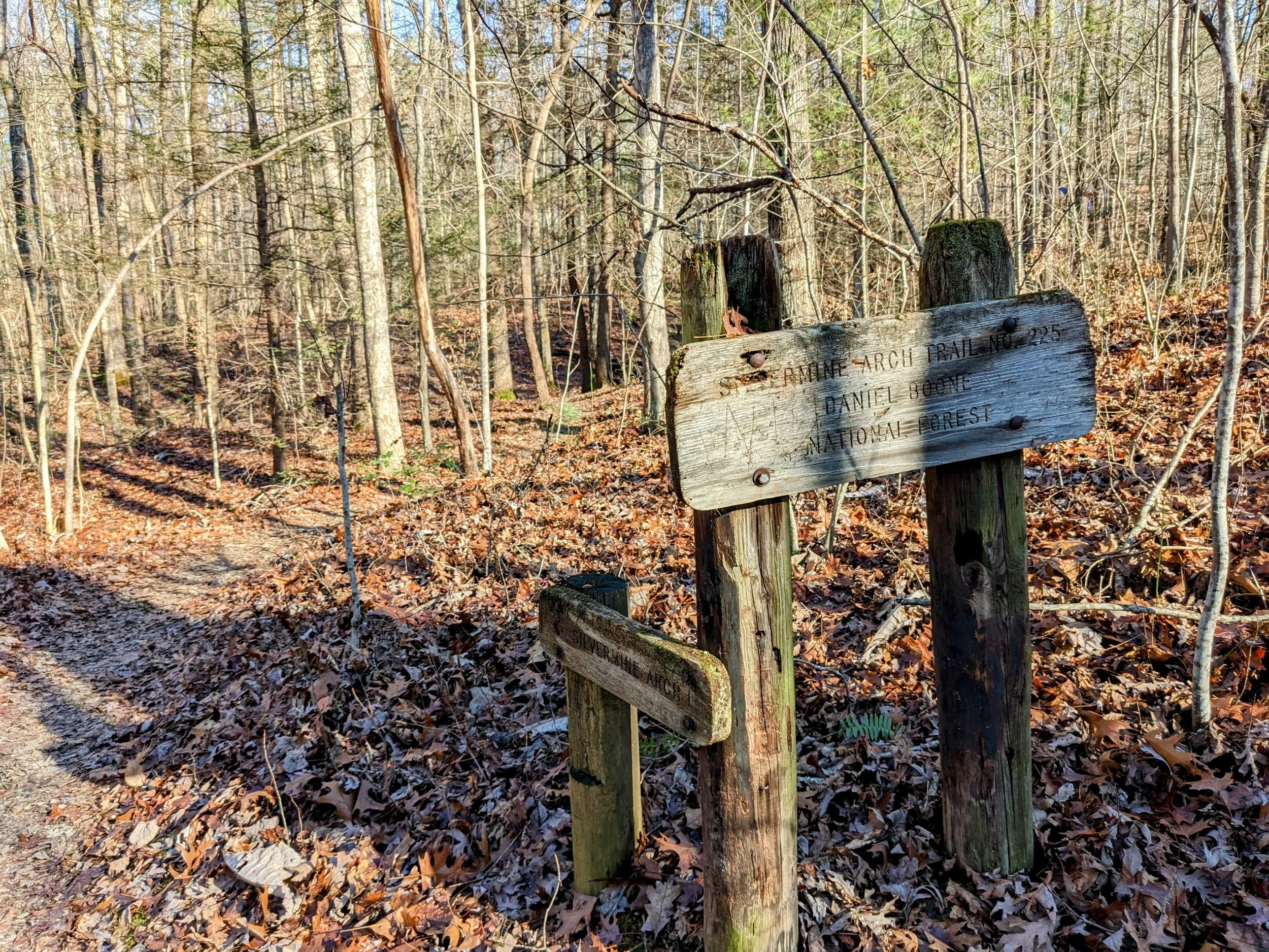 Koomer Ridge Campground Loop — Kentucky Hiker Project