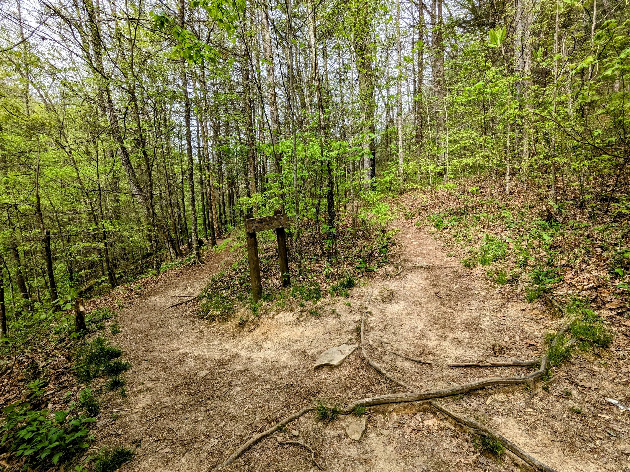 Whittleton Arch Out and Back from Pinch 'em Tight Trailhead — Kentucky ...
