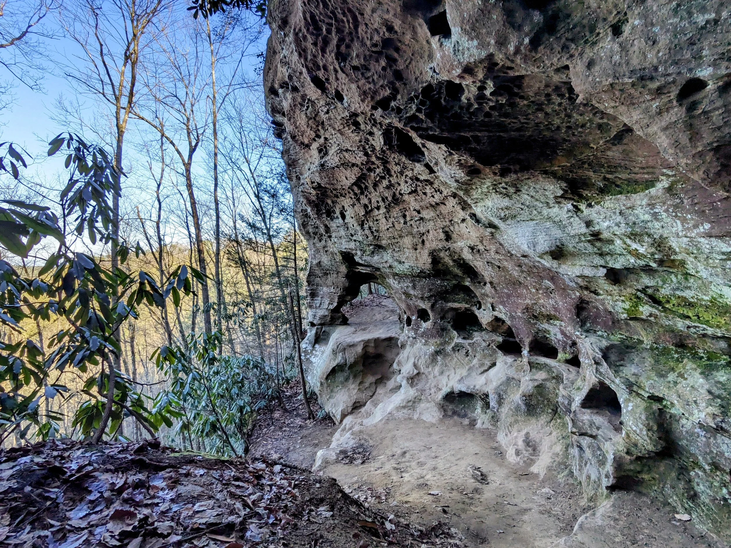 Koomer Ridge Campground Loop — Kentucky Hiker Project