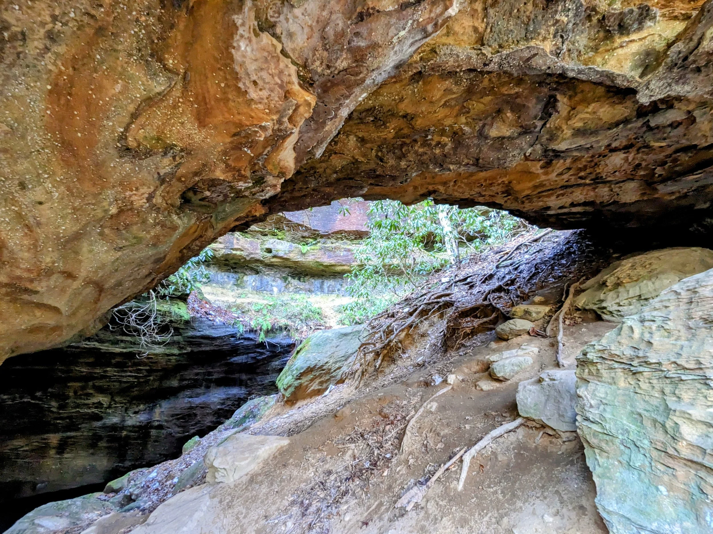 Koomer Ridge Campground Loop — Kentucky Hiker Project