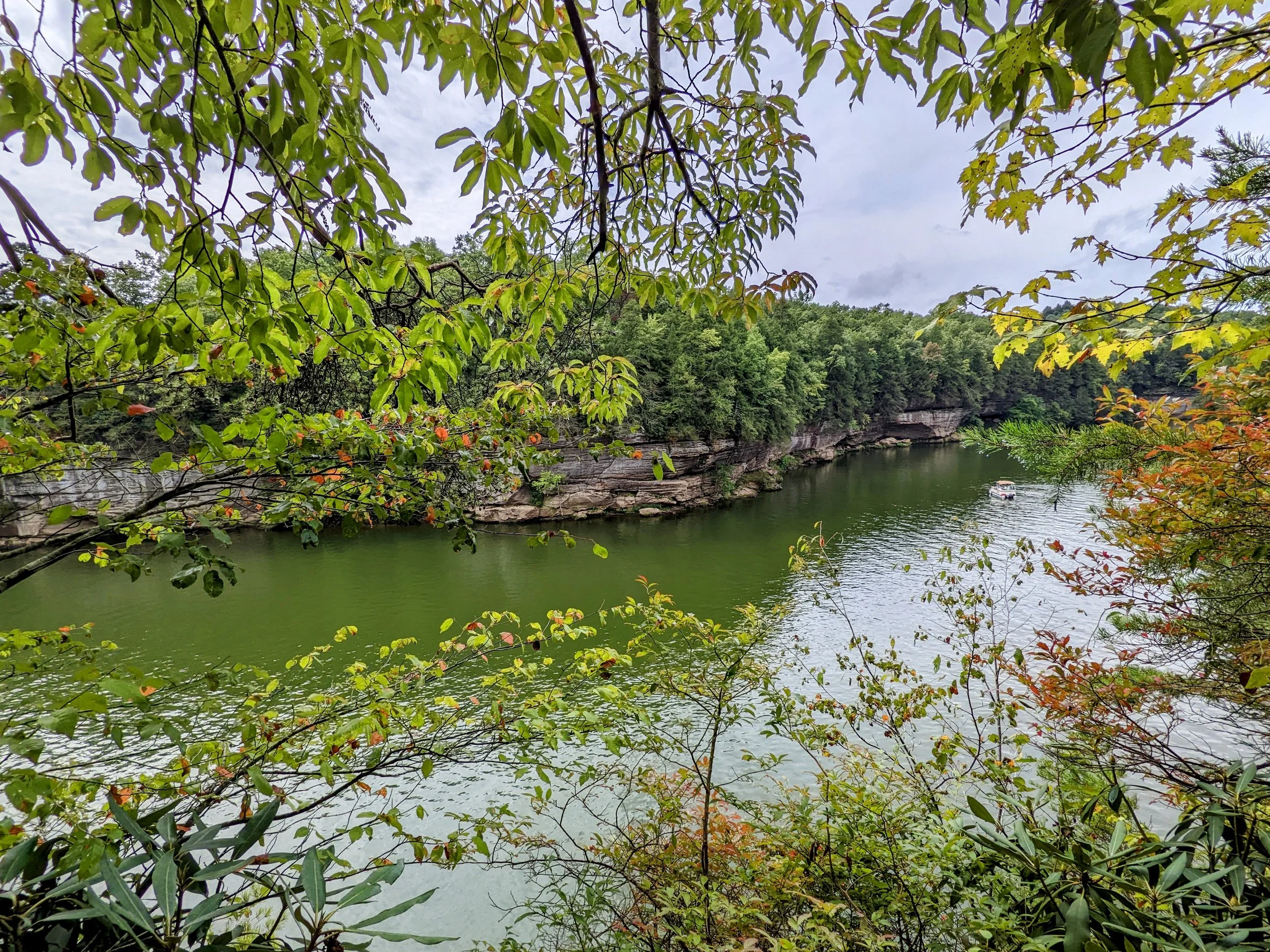 Lick Falls Loop — Kentucky Hiker Project