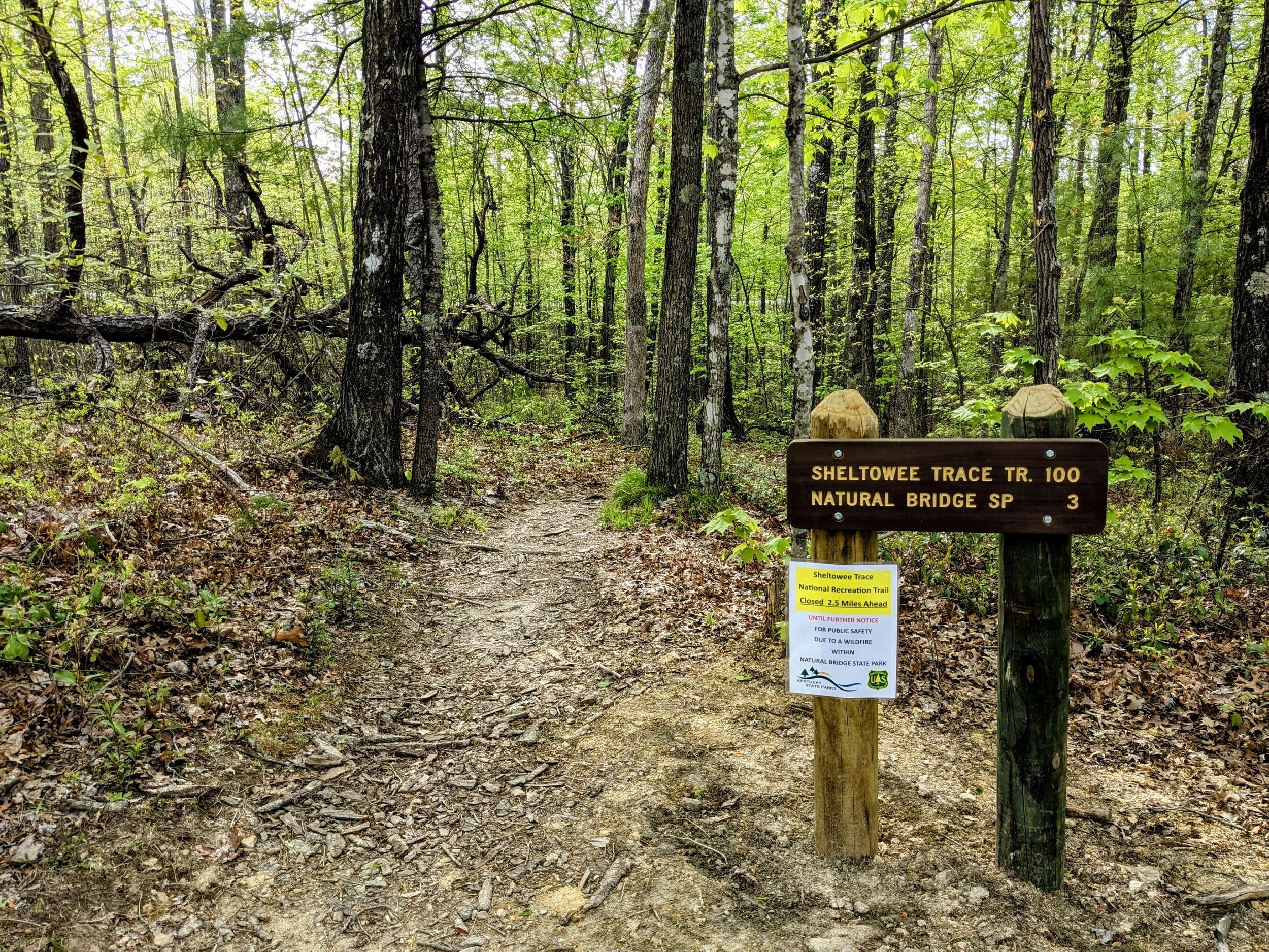 Whittleton Arch Out and Back from Pinch 'em Tight Trailhead — Kentucky ...