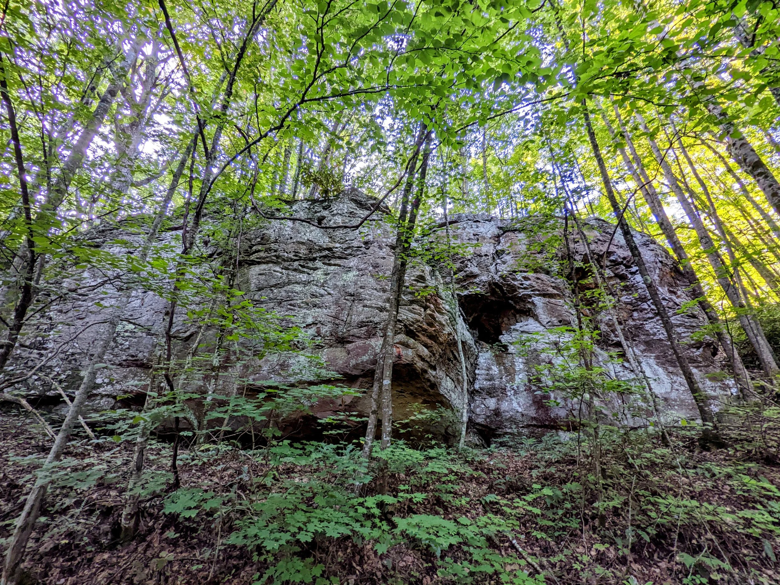 Lone Tree to Pitch Ridge Overlooks Loop on Little Shepherd Trail ...