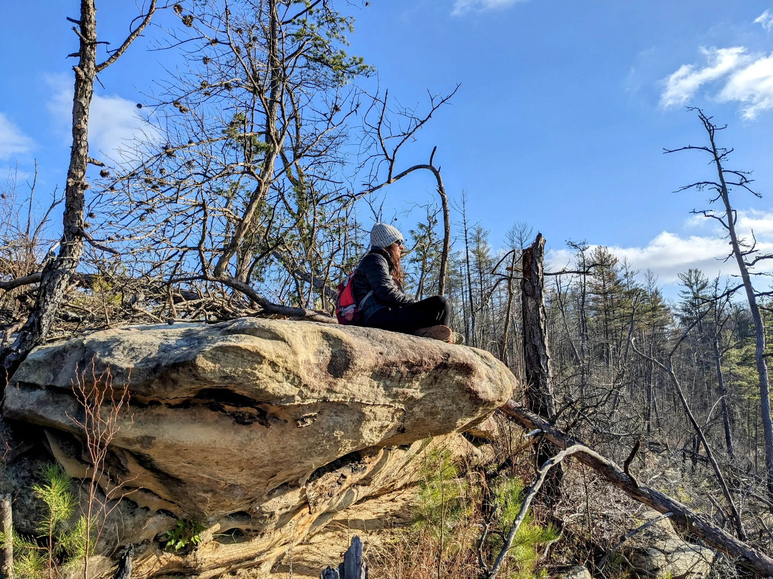 Buzzards Roost North, Central, and South — Kentucky Hiker Project