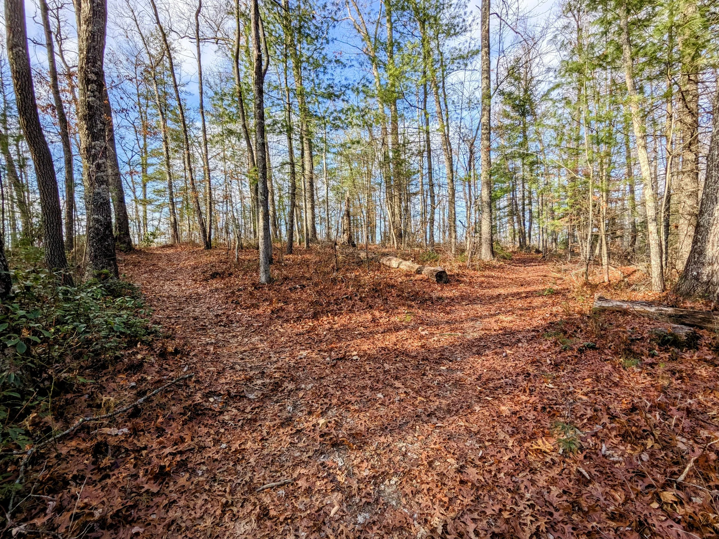 Buzzards Roost North, Central, and South — Kentucky Hiker Project