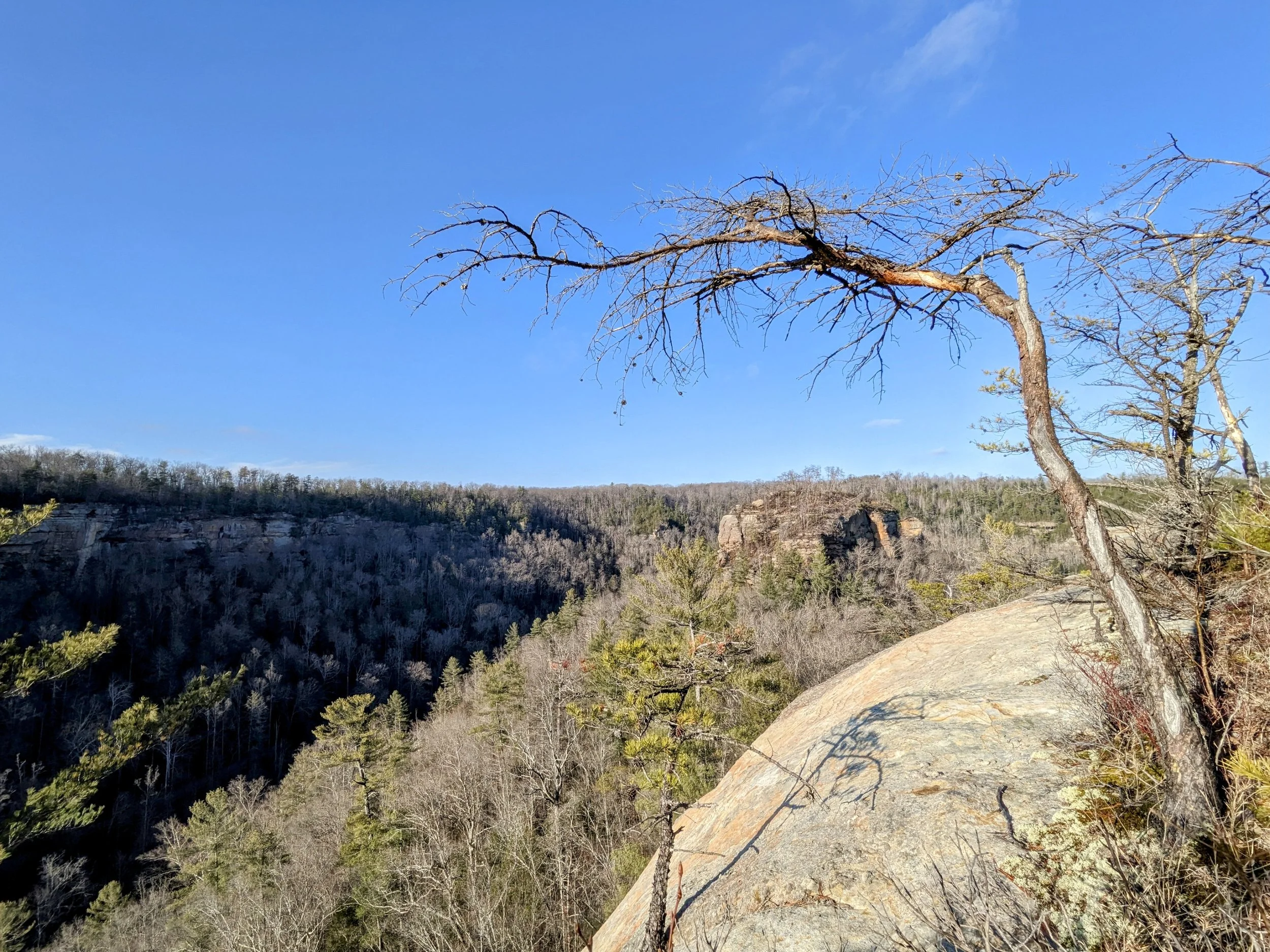 Buzzards Roost North, Central, and South — Kentucky Hiker Project