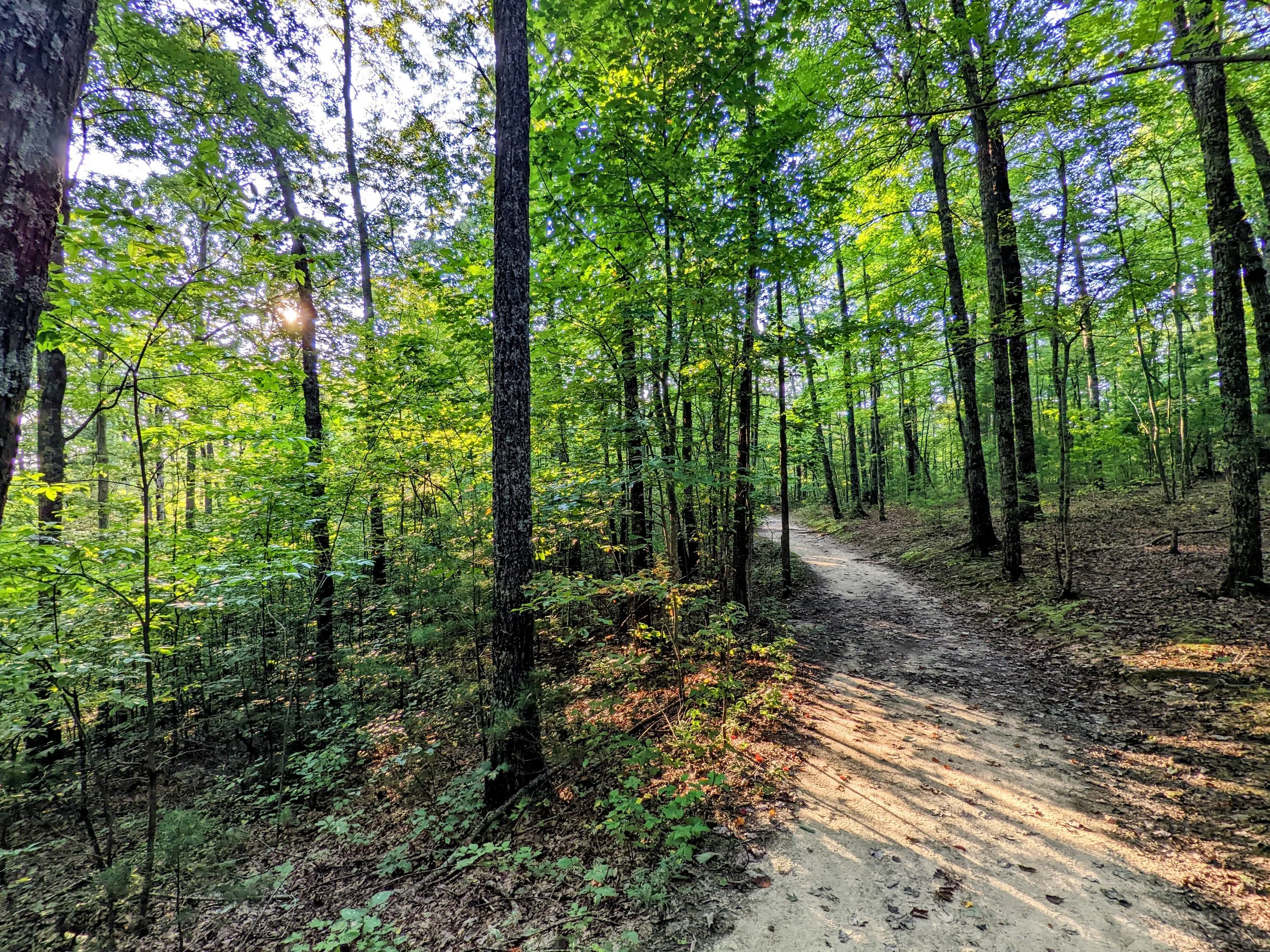 Sunset at Military Wall Overlook — Kentucky Hiker Project