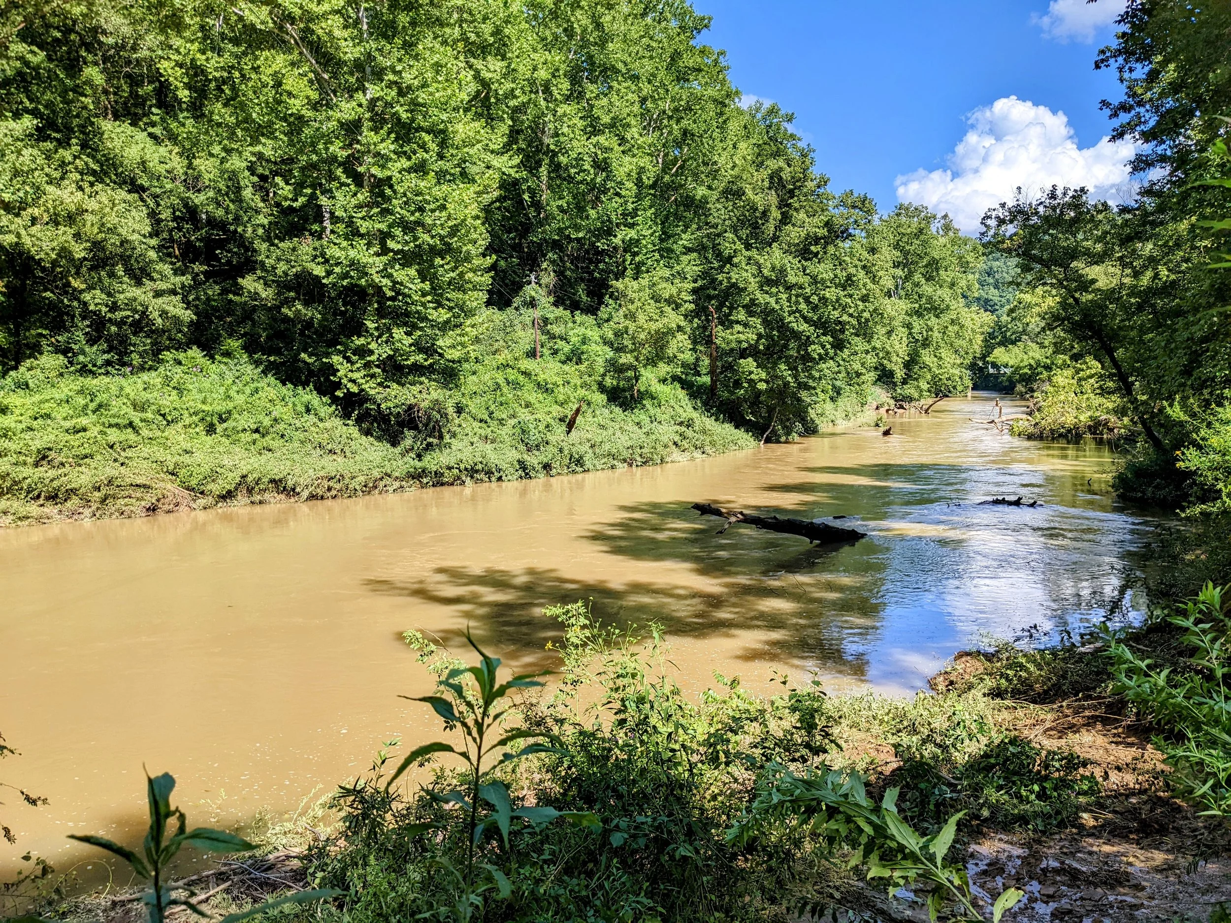 Raven Rock — Kentucky Hiker Project