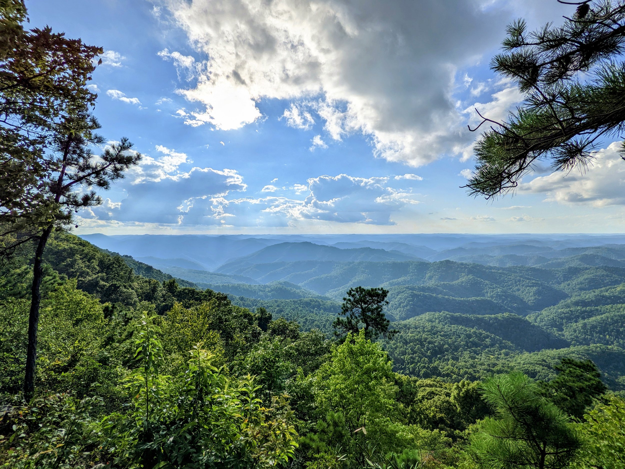 Leopold Gap to Mercy Seat Overlook — Kentucky Hiker Project