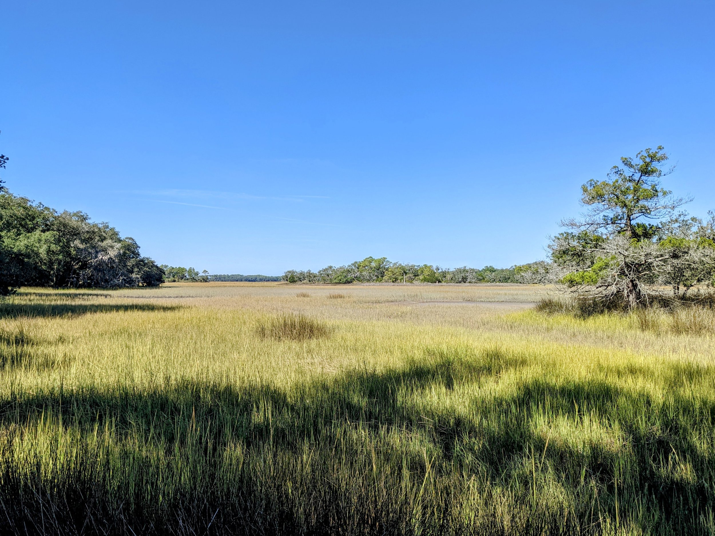 Pinckney Island National Wildlife Refuge Full Tour — Kentucky Hiker Project