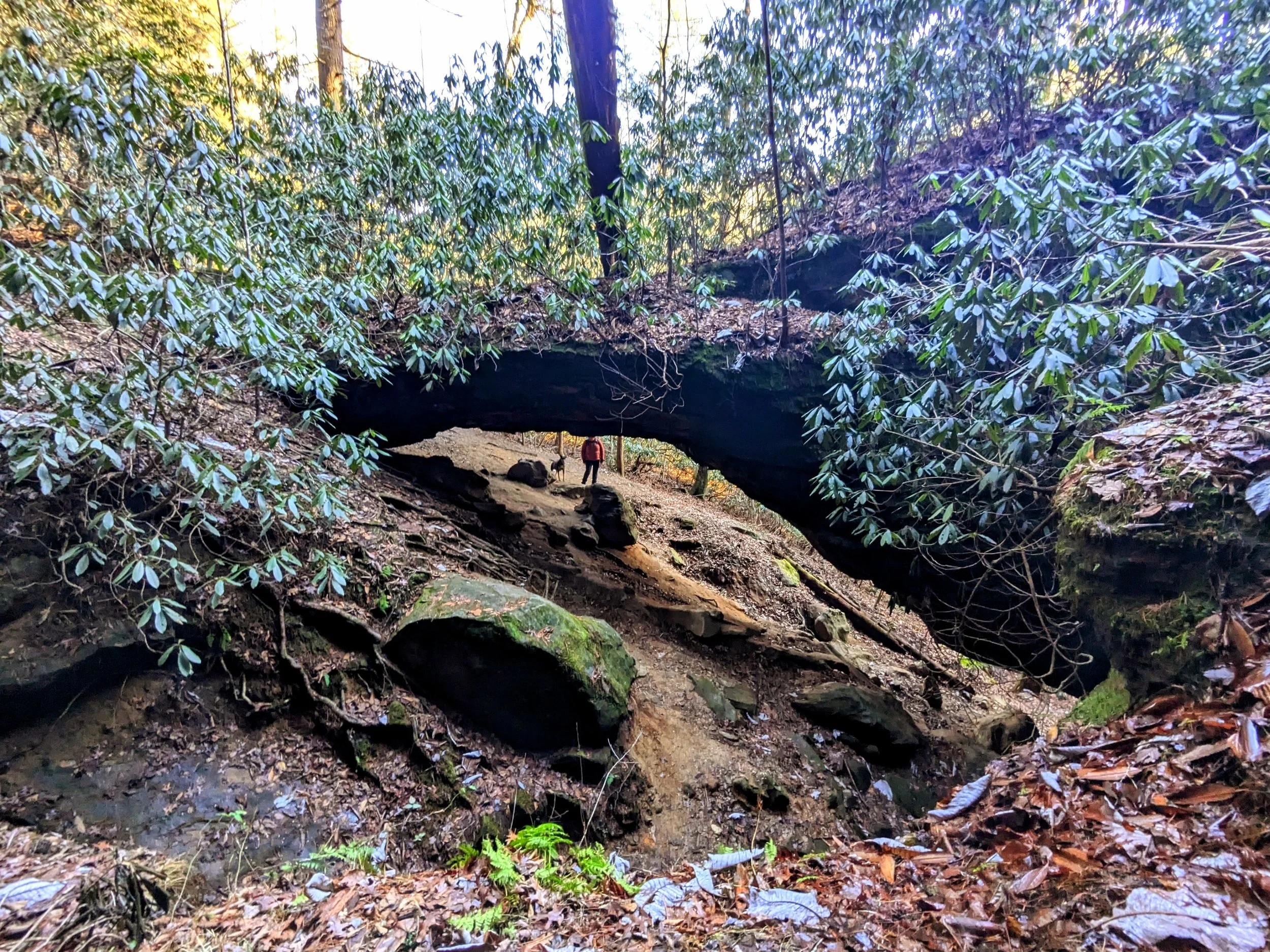 Koomer Ridge Campground Loop — Kentucky Hiker Project