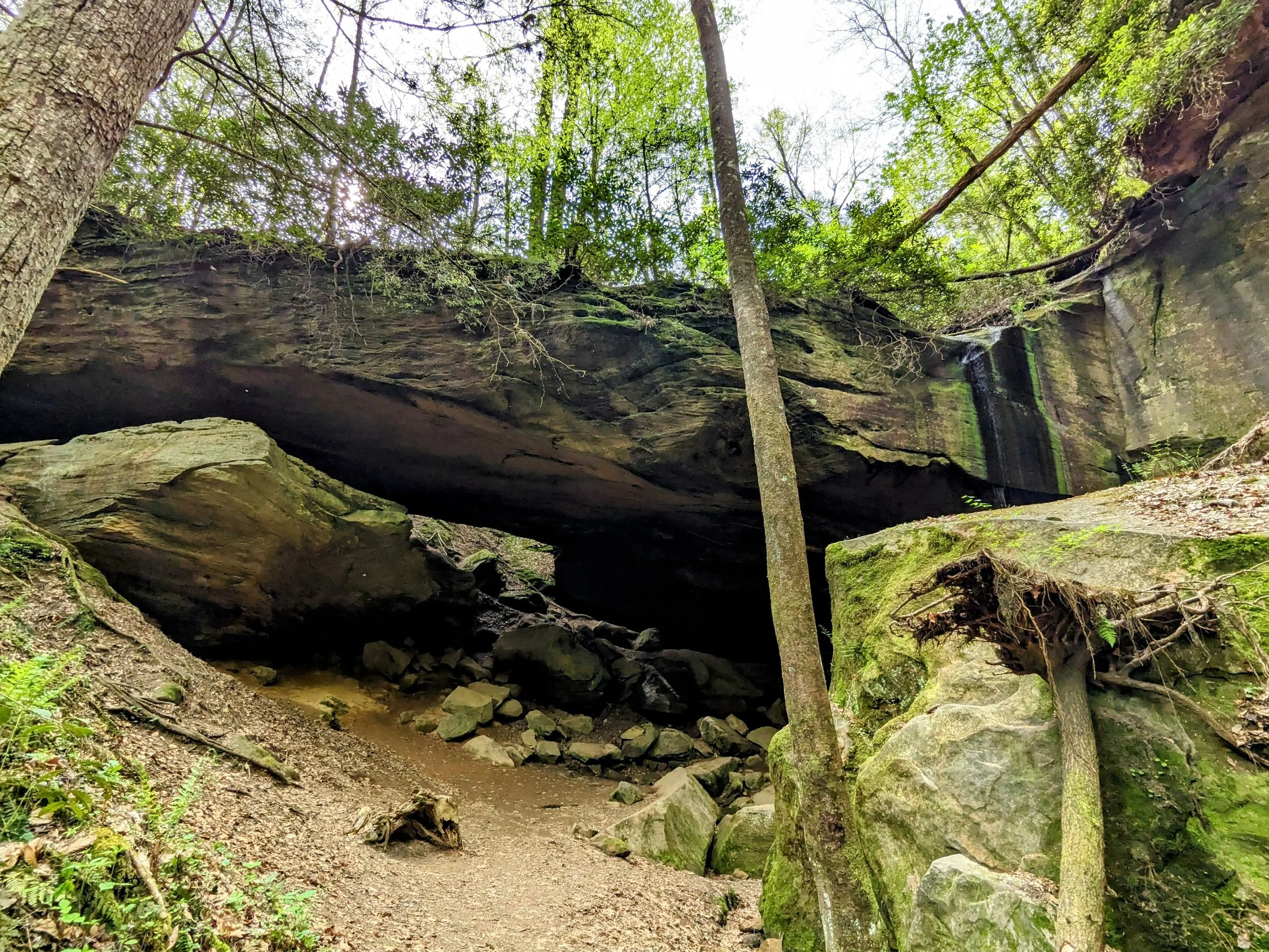 Whittleton Arch Out and Back from Pinch 'em Tight Trailhead — Kentucky ...
