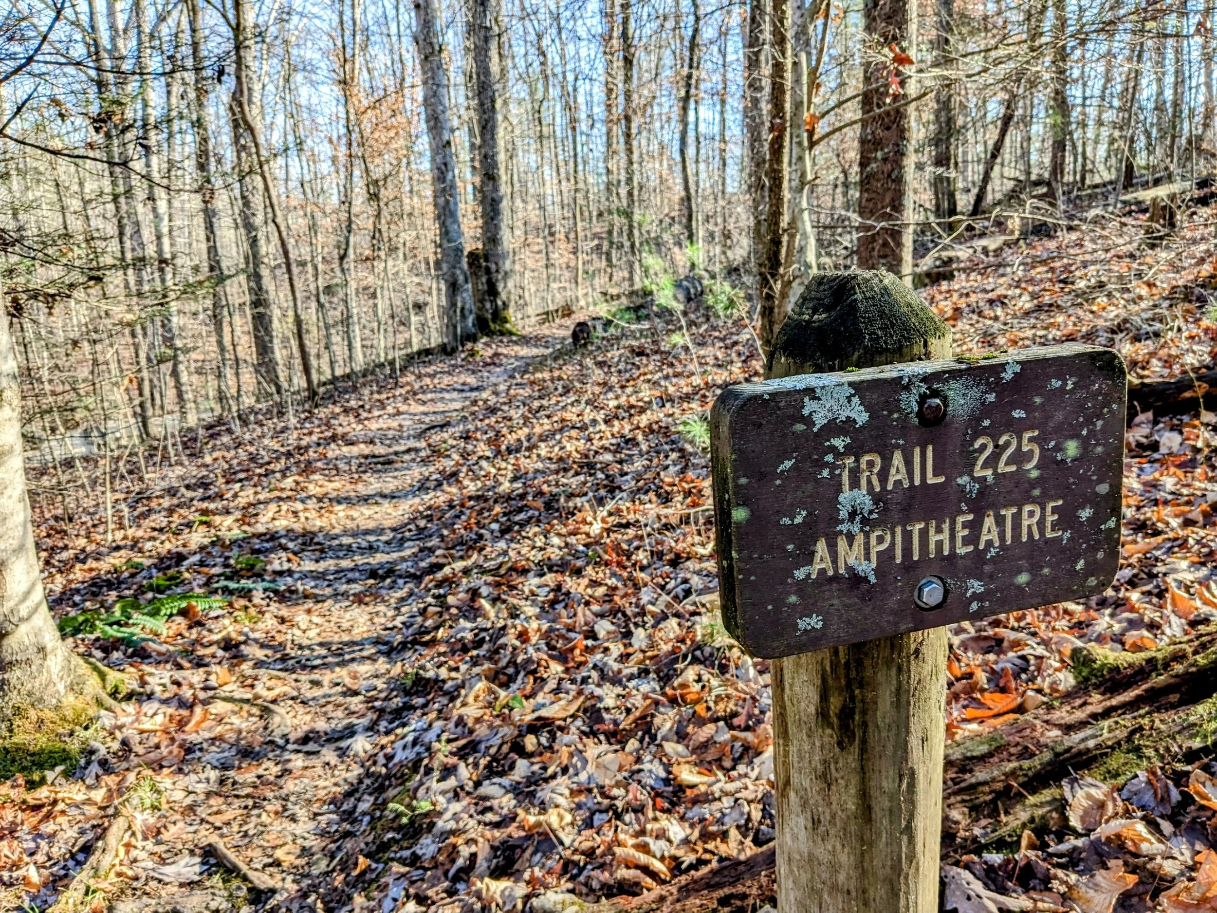 Koomer Ridge Campground Loop — Kentucky Hiker Project
