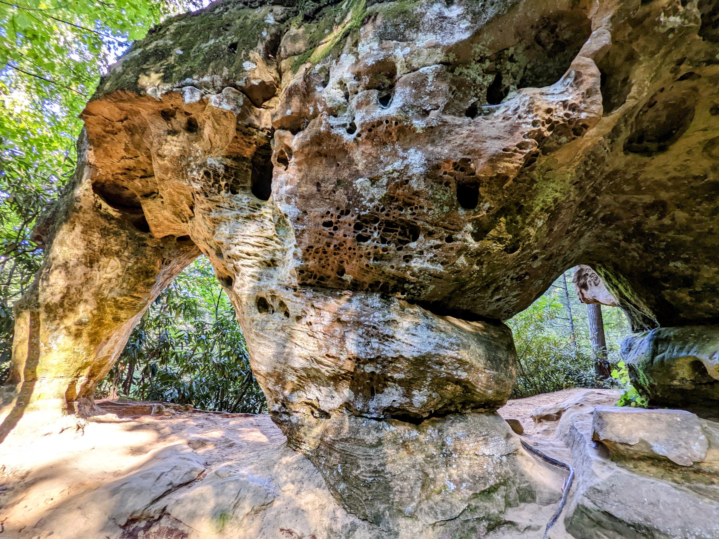 Swift Camp Creek and Spurs - Creation Falls, Rock Bridge, Pooch’s ...