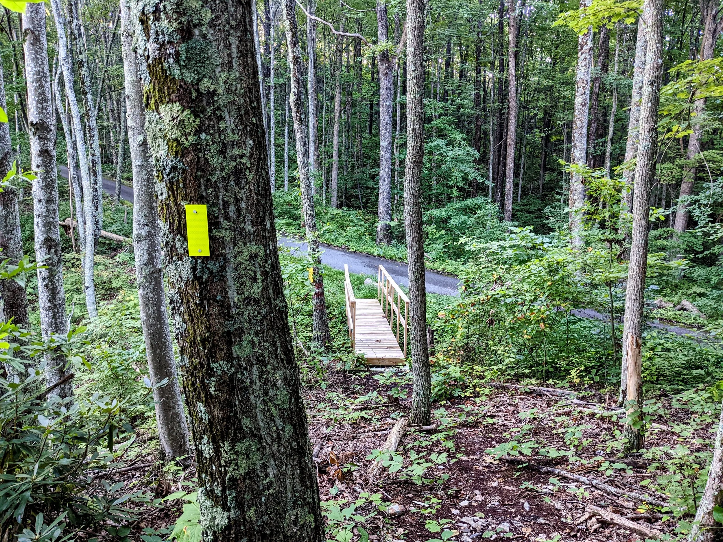 Lone Tree to Pitch Ridge Overlooks Loop on Little Shepherd Trail ...