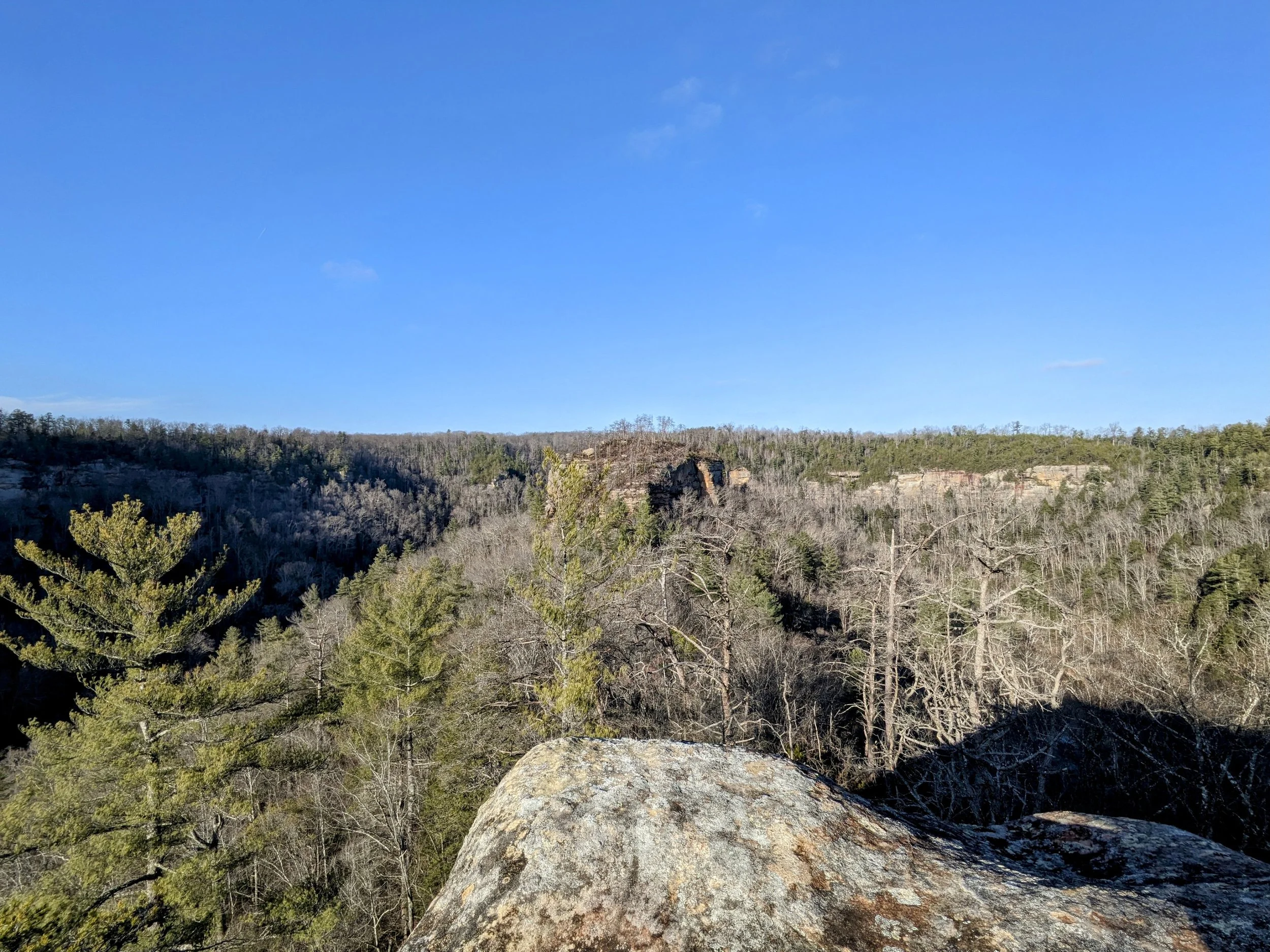 Buzzards Roost North, Central, and South — Kentucky Hiker Project