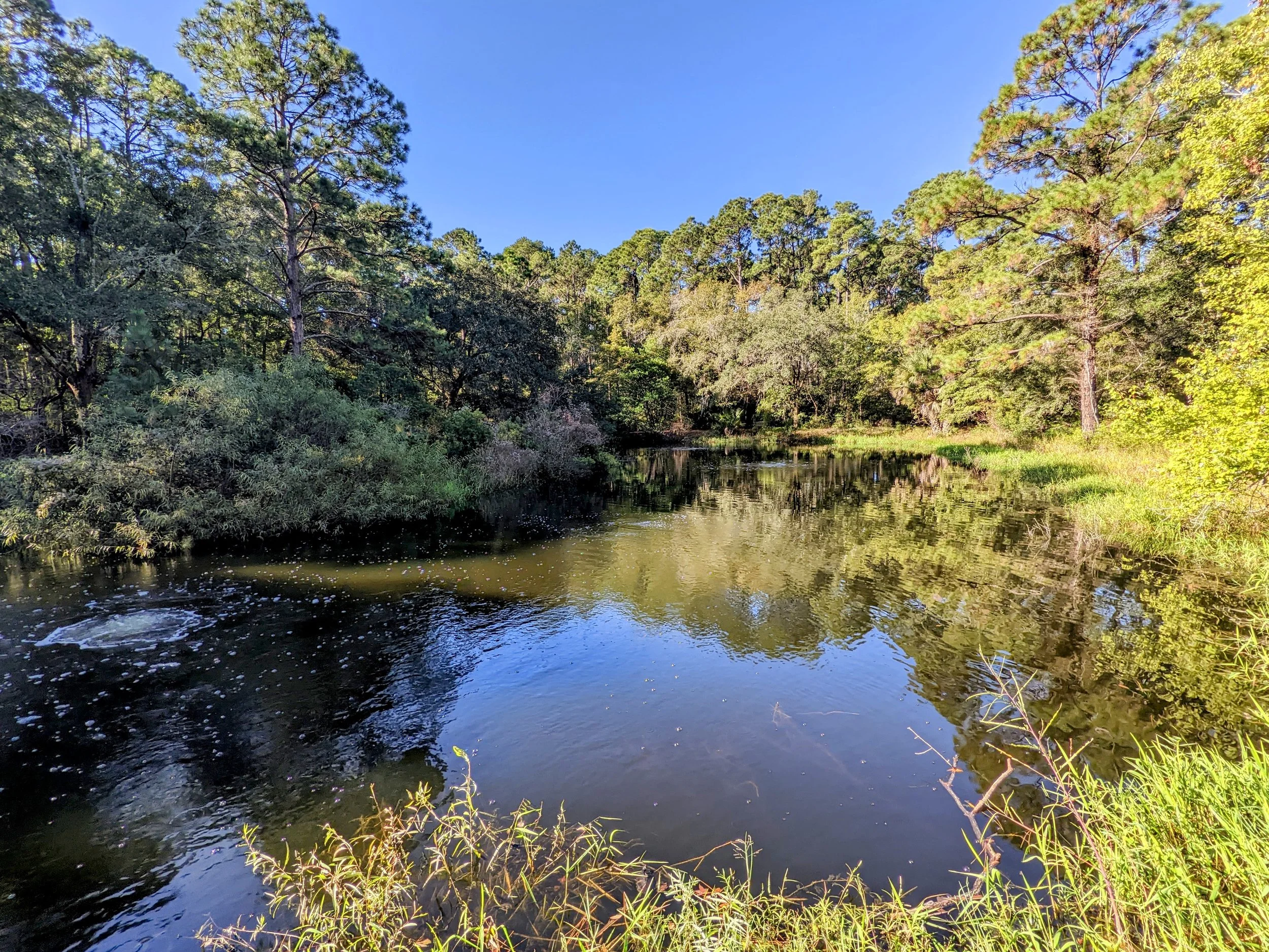 Audubon Newhall Preserve — Kentucky Hiker Project
