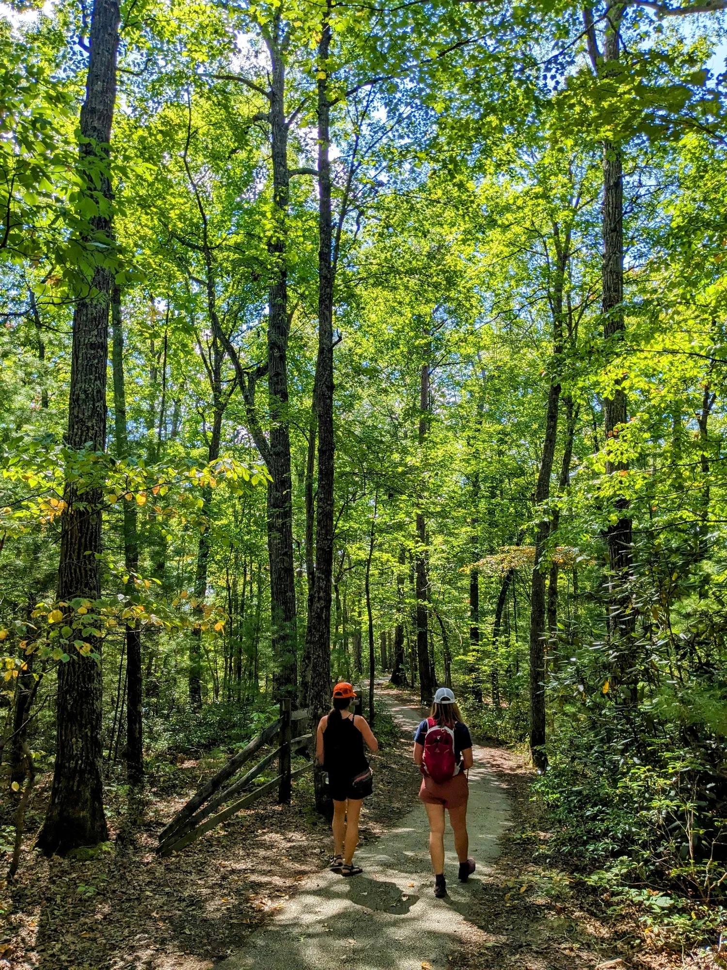 Chimney Top Rock and Princess Arch — Kentucky Hiker Project
