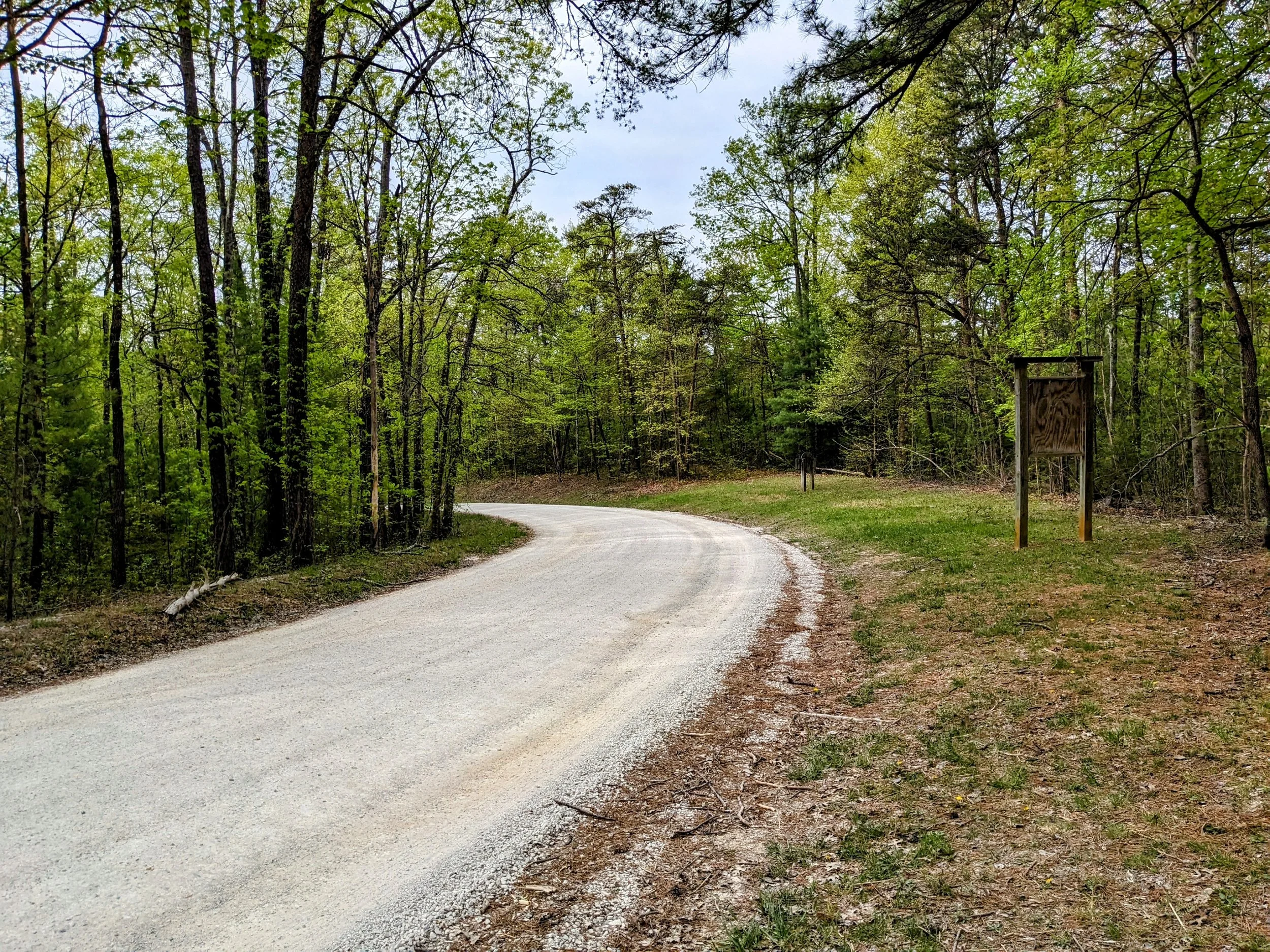Whittleton Arch Out and Back from Pinch 'em Tight Trailhead — Kentucky ...