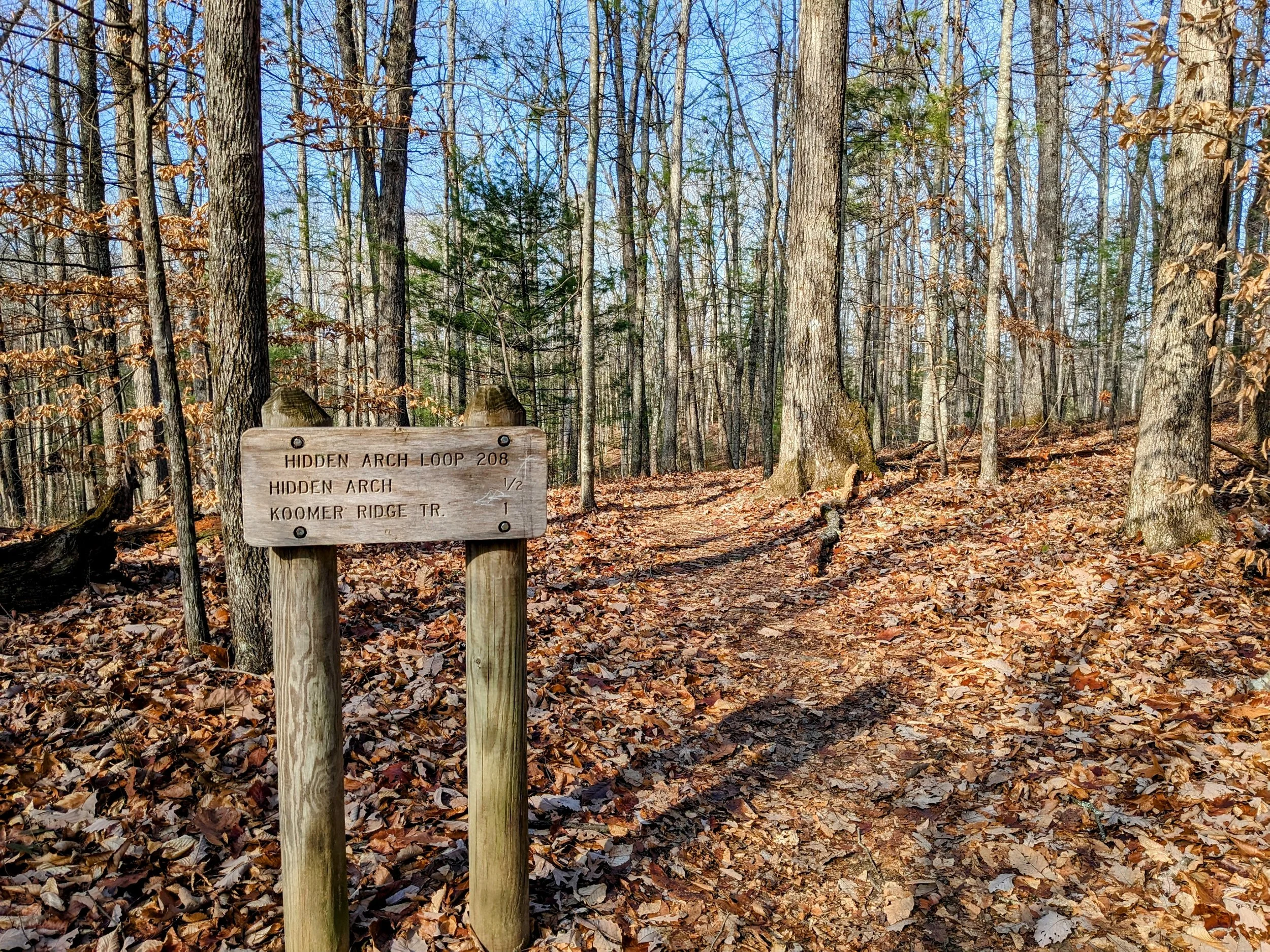 Koomer Ridge Campground Loop — Kentucky Hiker Project