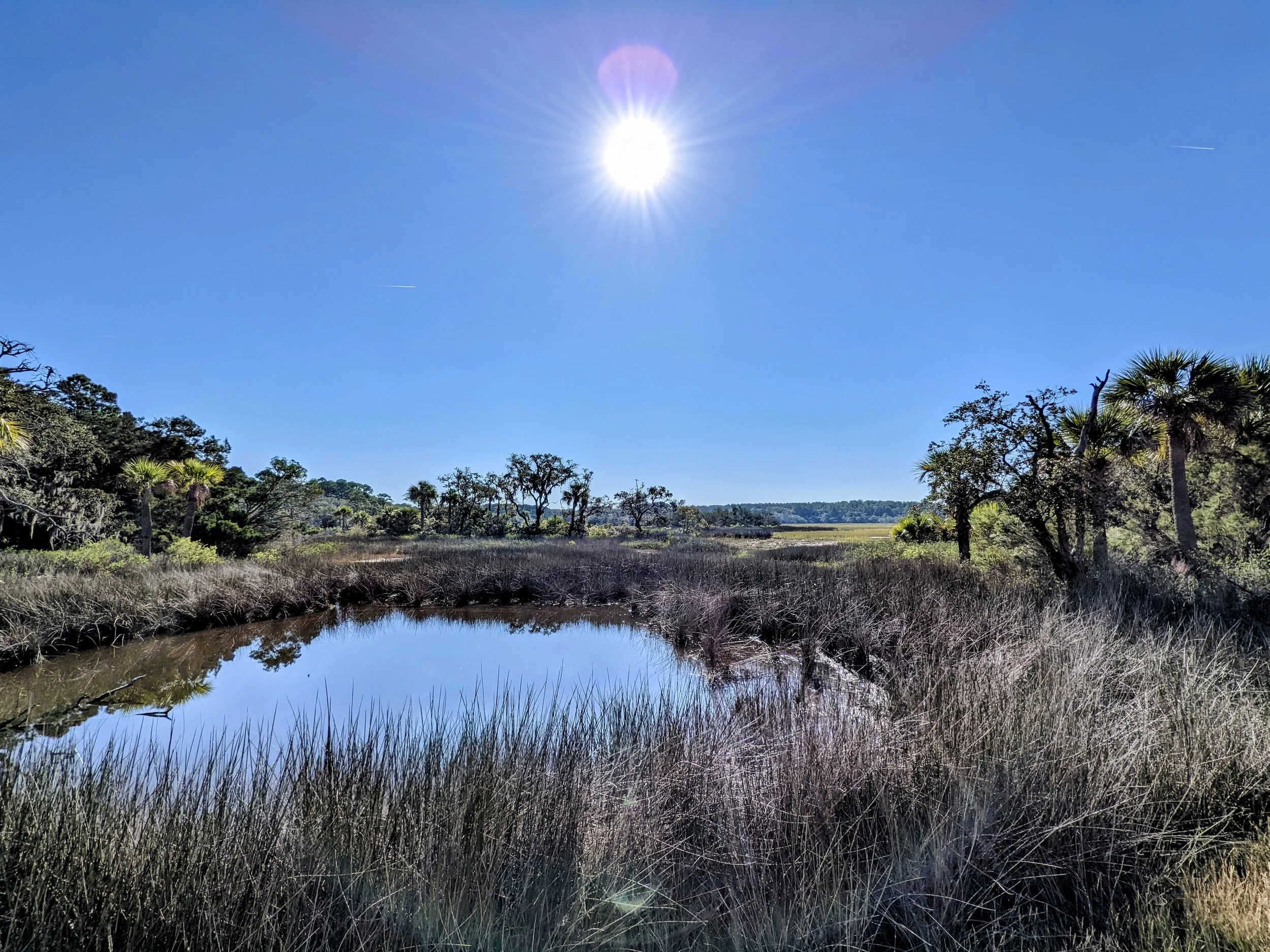 Pinckney Island National Wildlife Refuge Full Tour — Kentucky Hiker Project