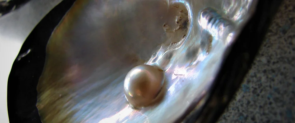 Mother Of Pearl Finishes — Make Bespoke Studio