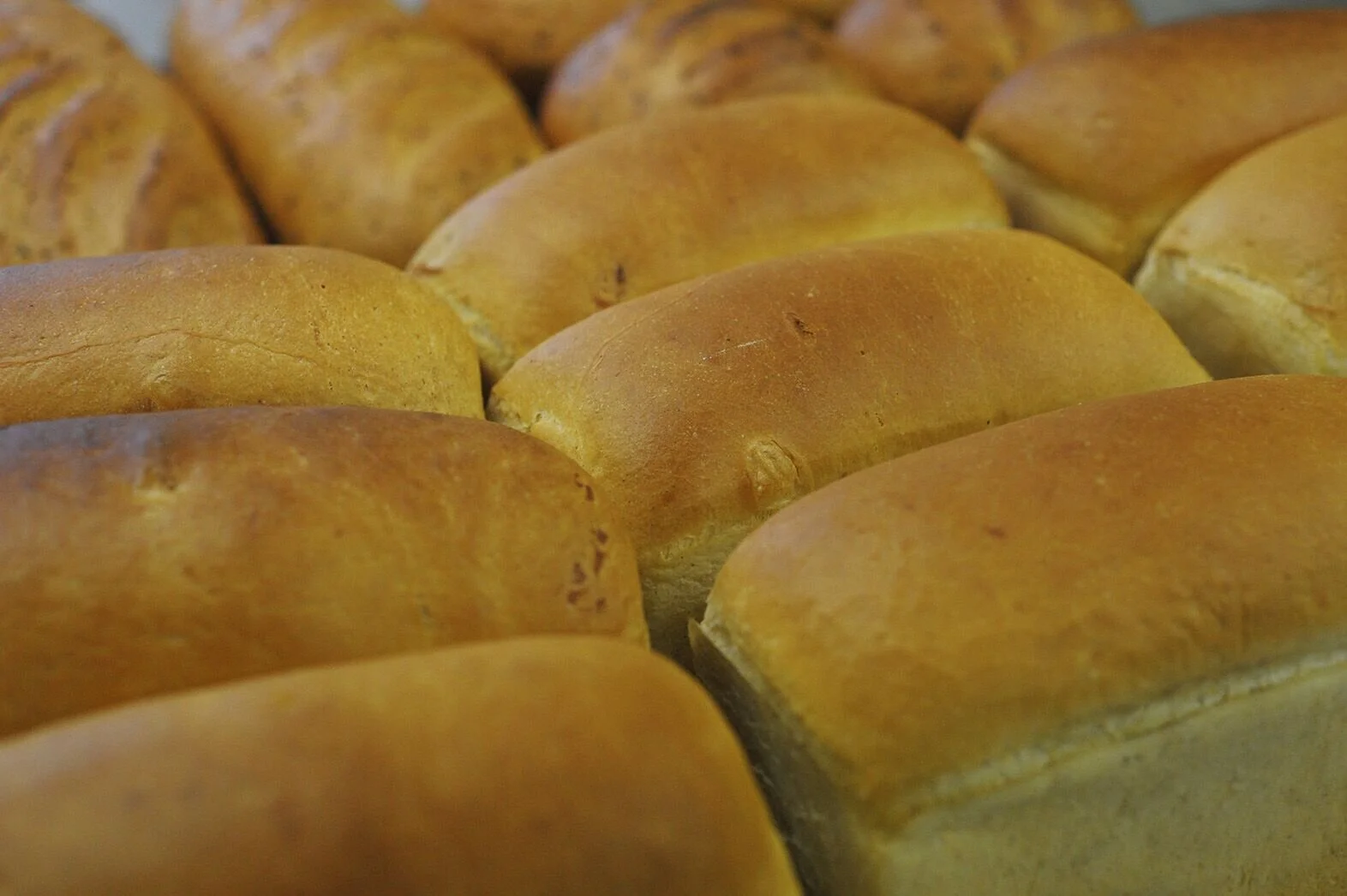 Our Products — Prima Bakeries