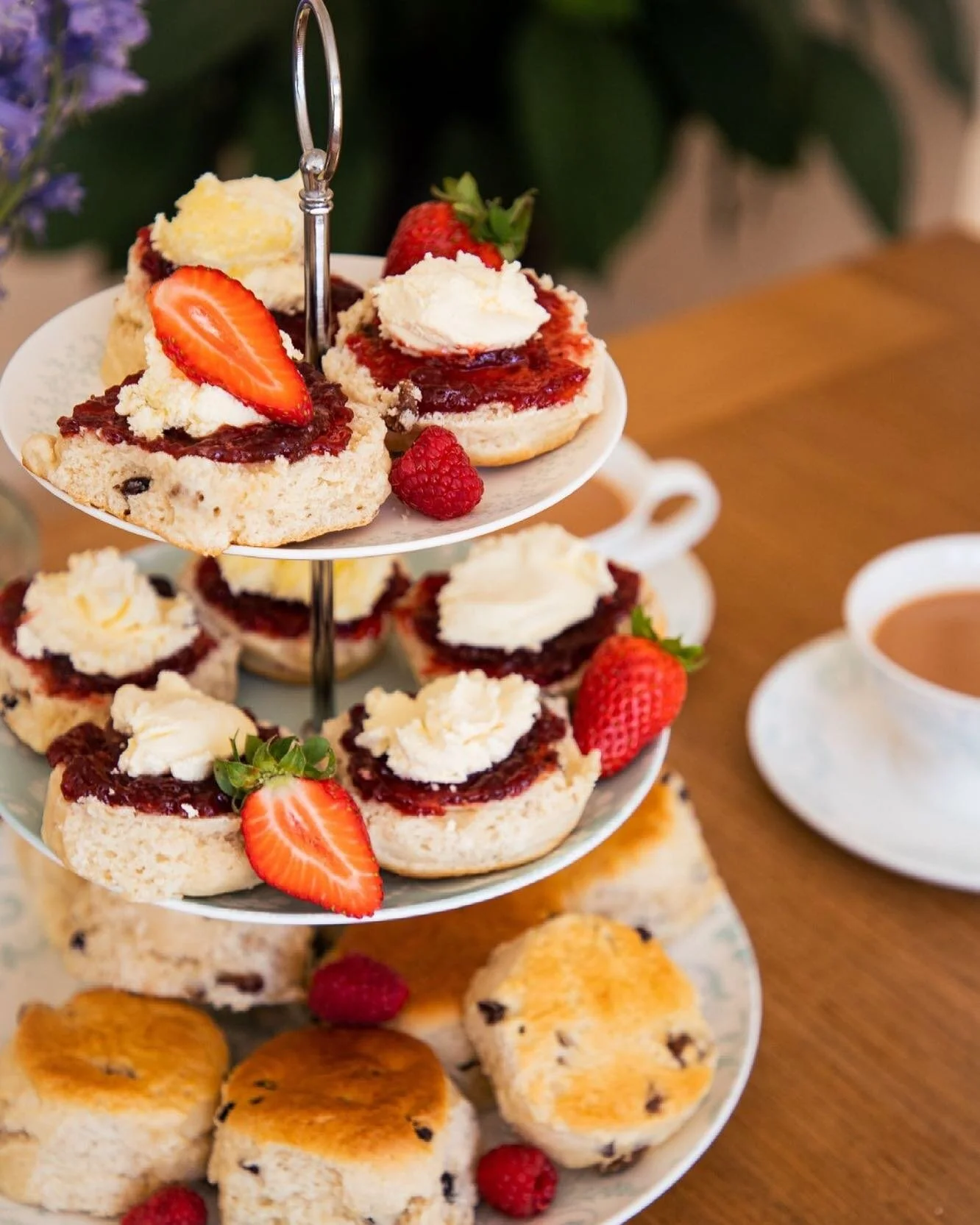 Prima Bakeries | Baked With Love From The Heart Of Cornwall