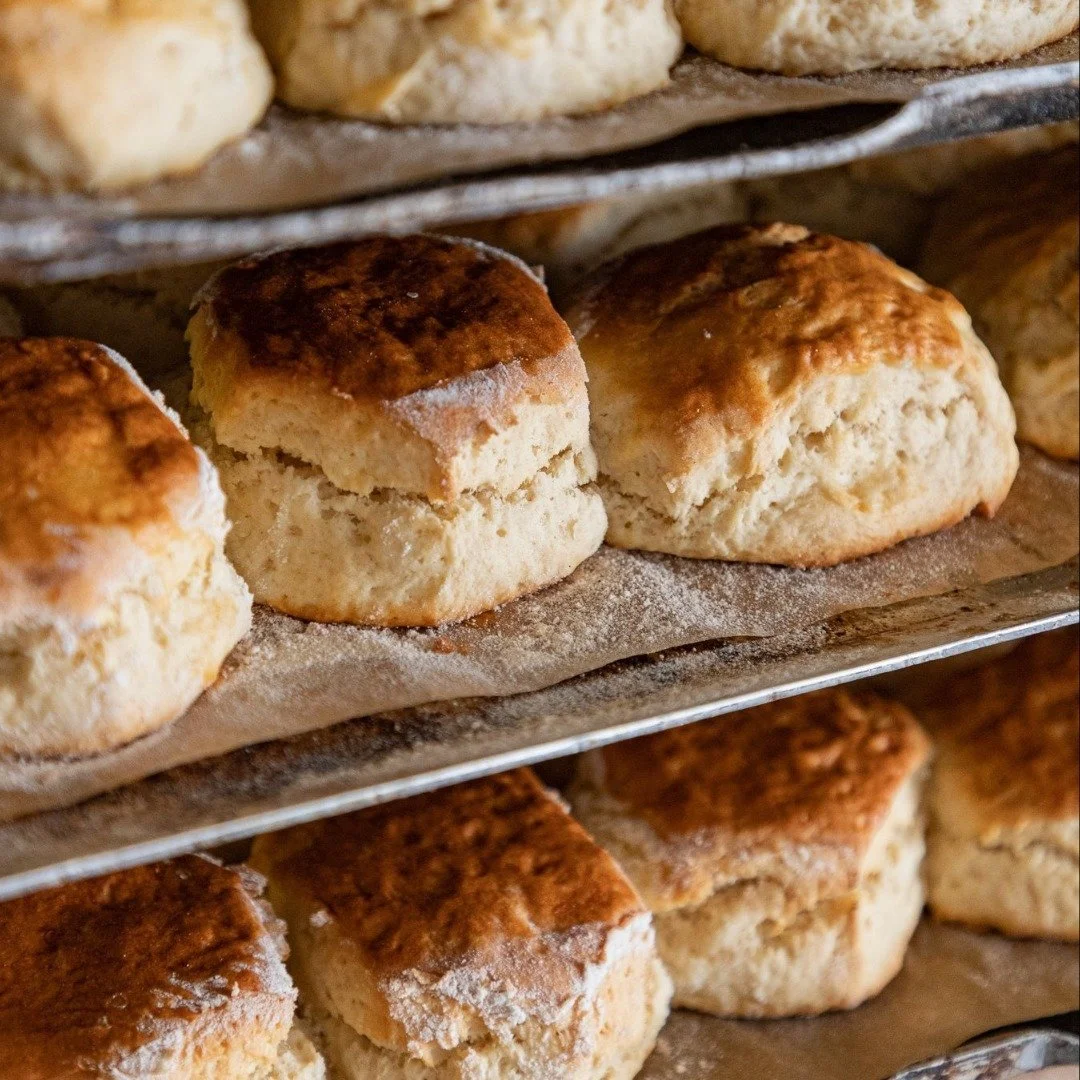 Contact — Prima Bakeries