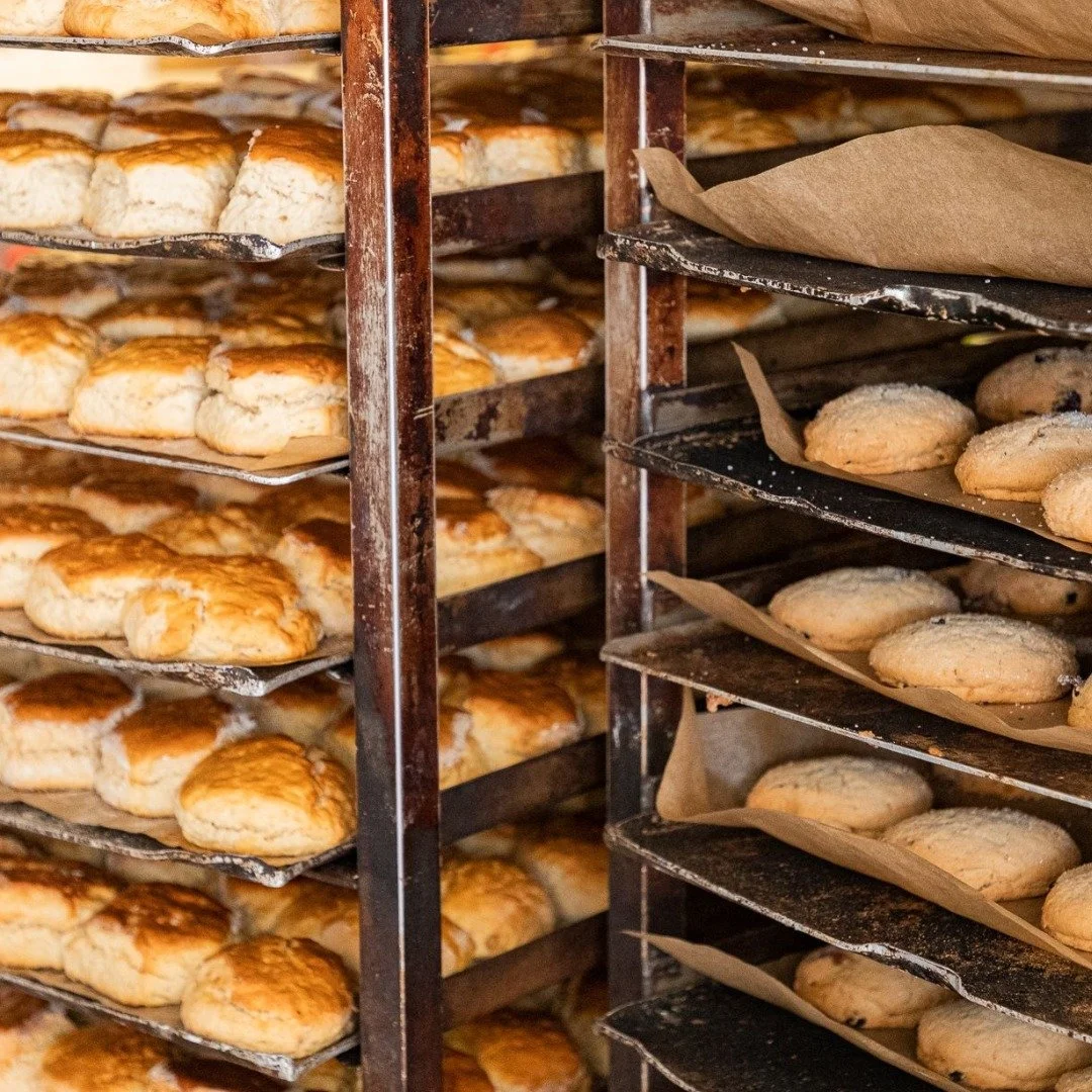 Our Products — Prima Bakeries