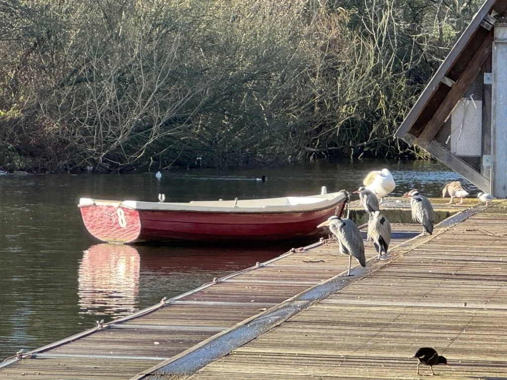 Citizen Science — The Battersea Society