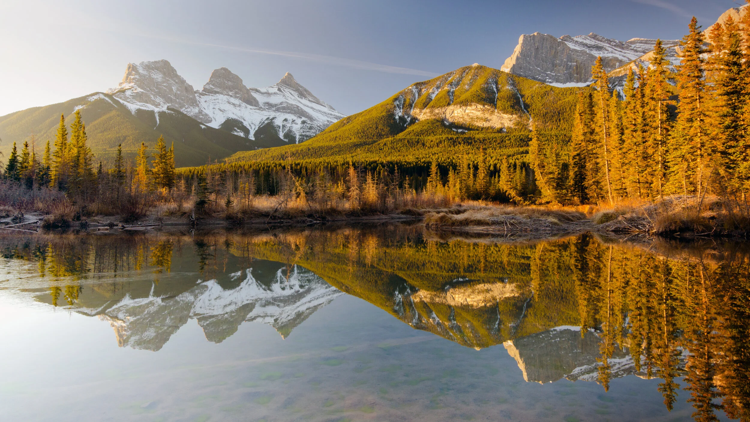 ALTAFACTS Search & Registry Inc. - Calgary and Alberta drivers guides