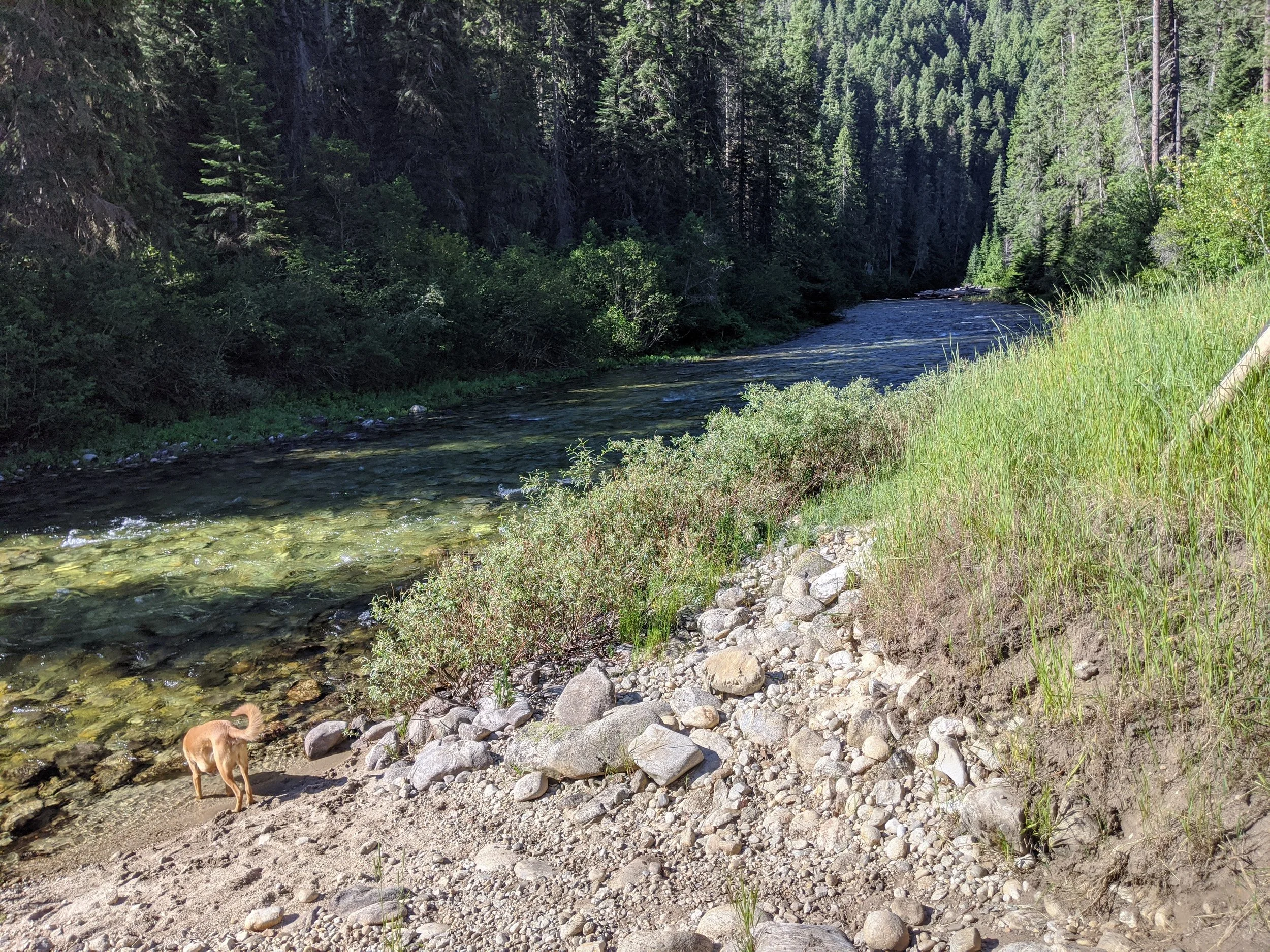 Selway Bitterroot Frank Church Wilderness — Open AIR