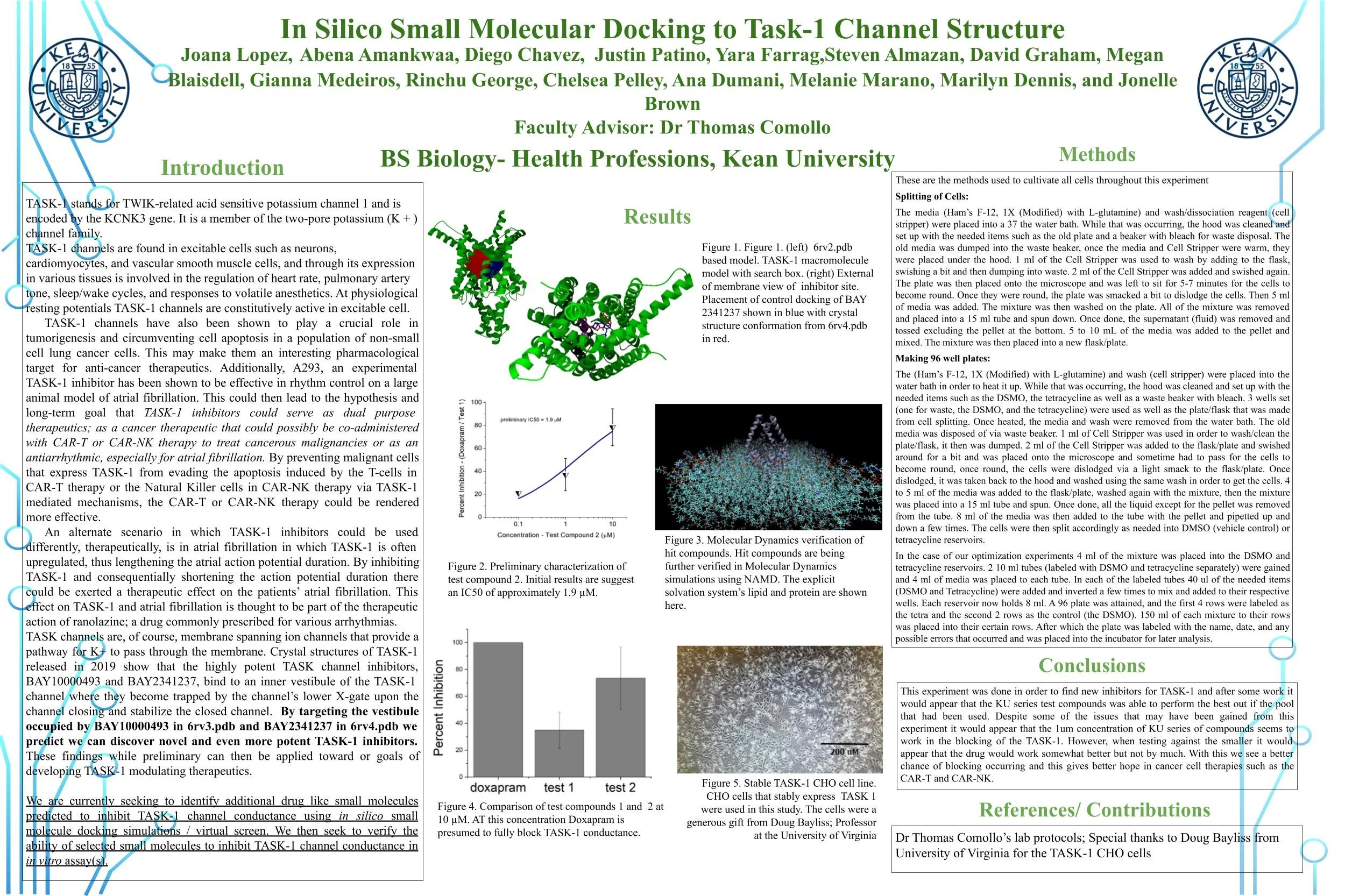 In Silico Small Molecular Docking to Task-1 Channel Structure — Kean ...