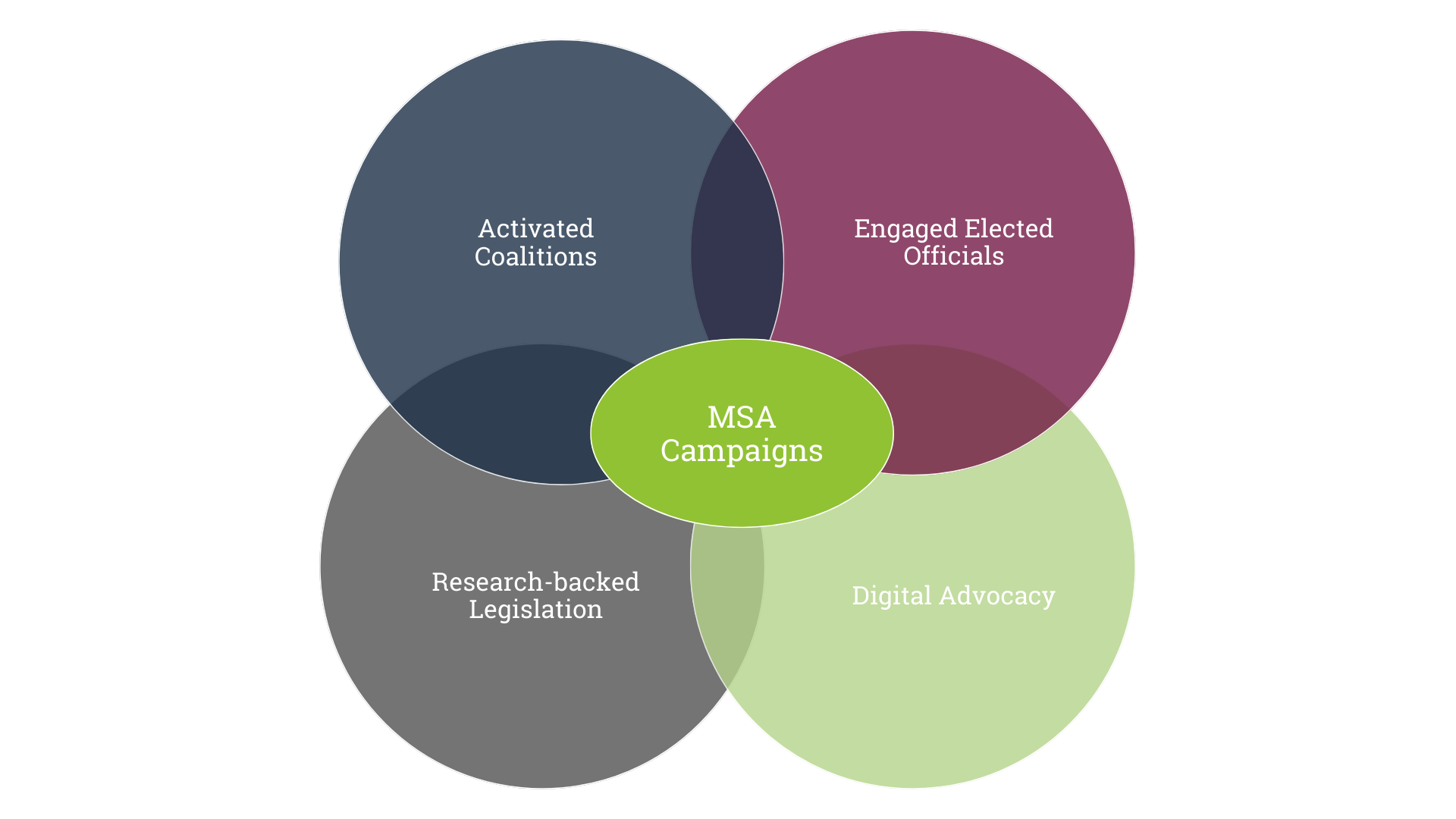 About — Main Street Alliance / Main Street Action