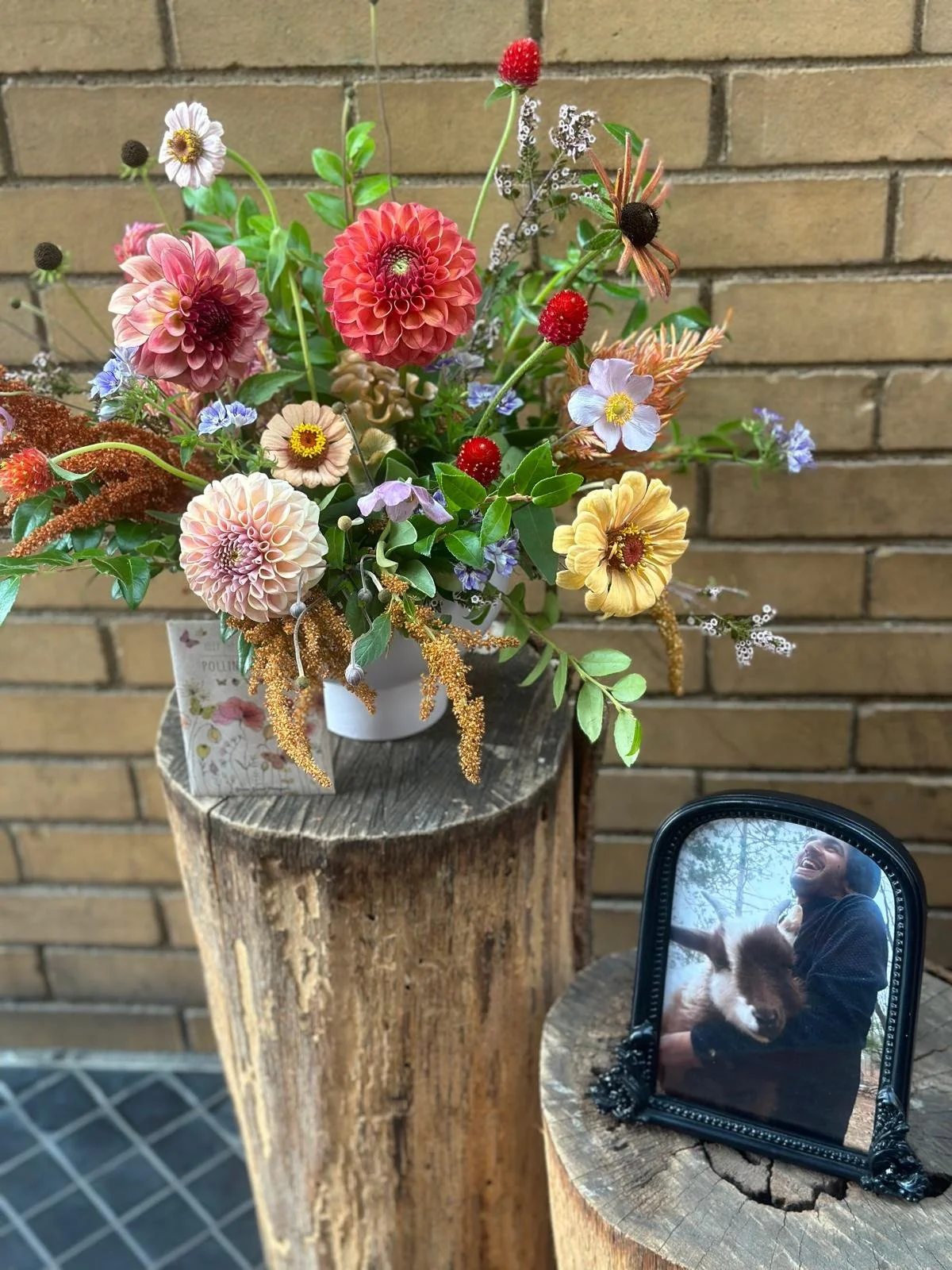 Order Fresh Flowers & Indoor Plants | University Flower Shop