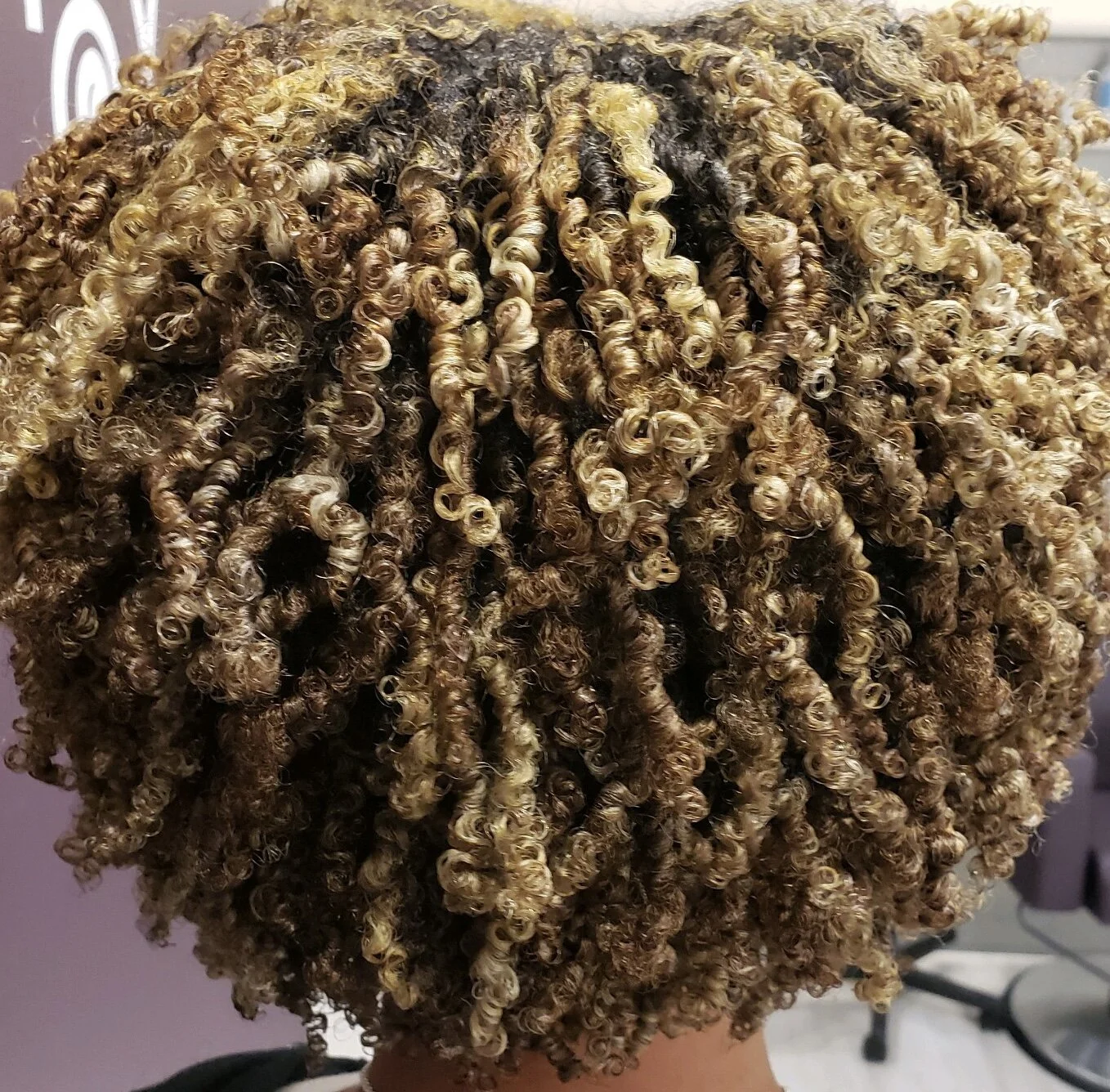 Gallery — Beyscurls