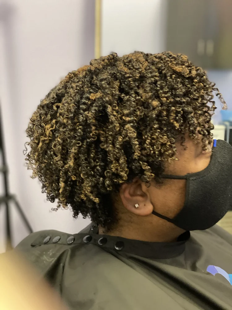 Gallery — Beyscurls