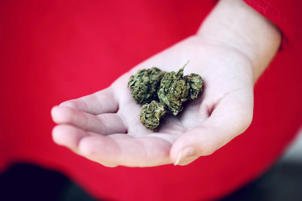 How to Use Marijuana Responsibly: Tips for Safe Consumption ...