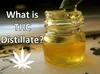 THC Distillate: What It Is and How to Use It — CannabisMD TeleMed
