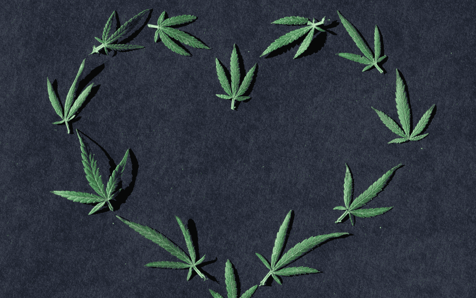 Virginia Marijuana Laws (2025) | Medical & Legal Guide — CannabisMD TeleMed