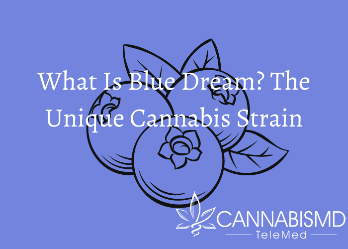 What Is Blue Dream? The Unique Cannabis Strain — CannabisMD TeleMed
