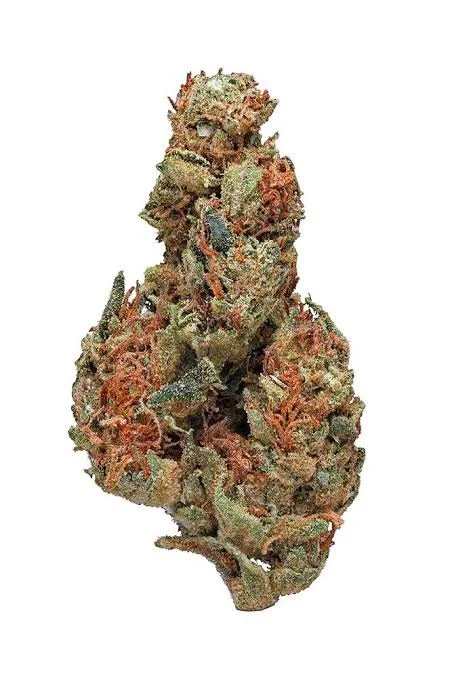 Panama Red Medical Marijuana Strain — CannabisMD TeleMed