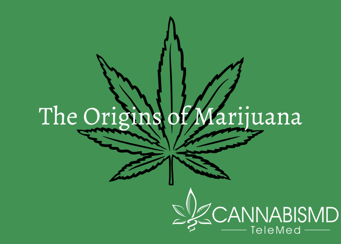 The Origins of Marijuana — CannabisMD TeleMed