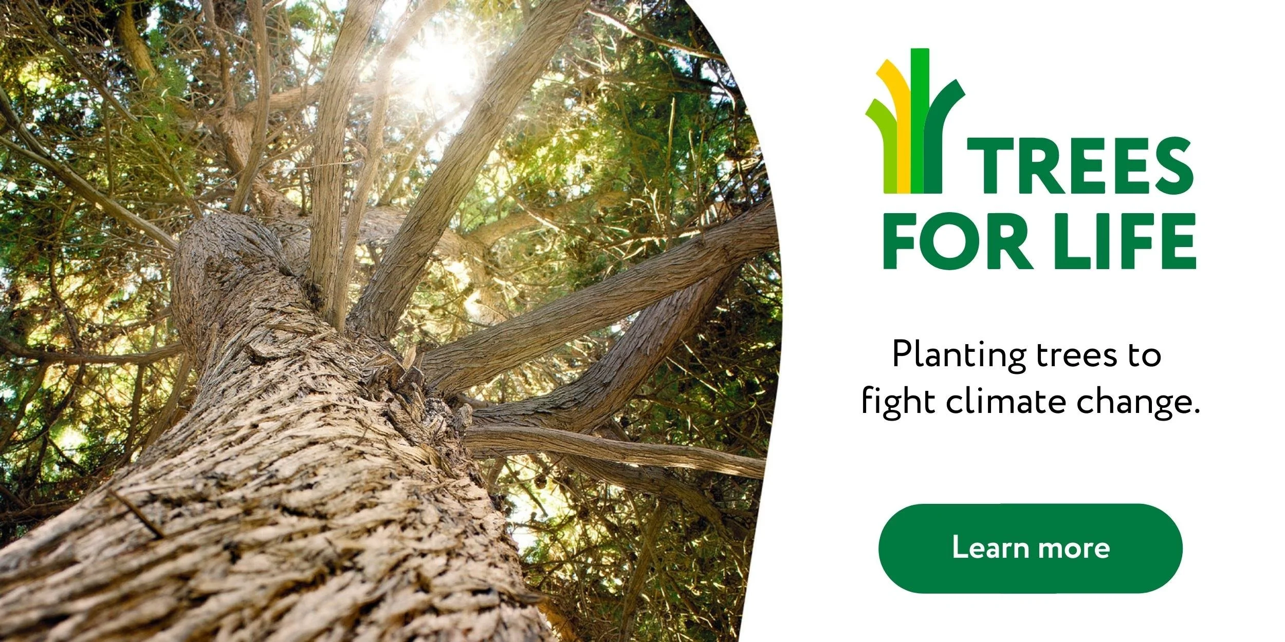 Canadian Trees for Life