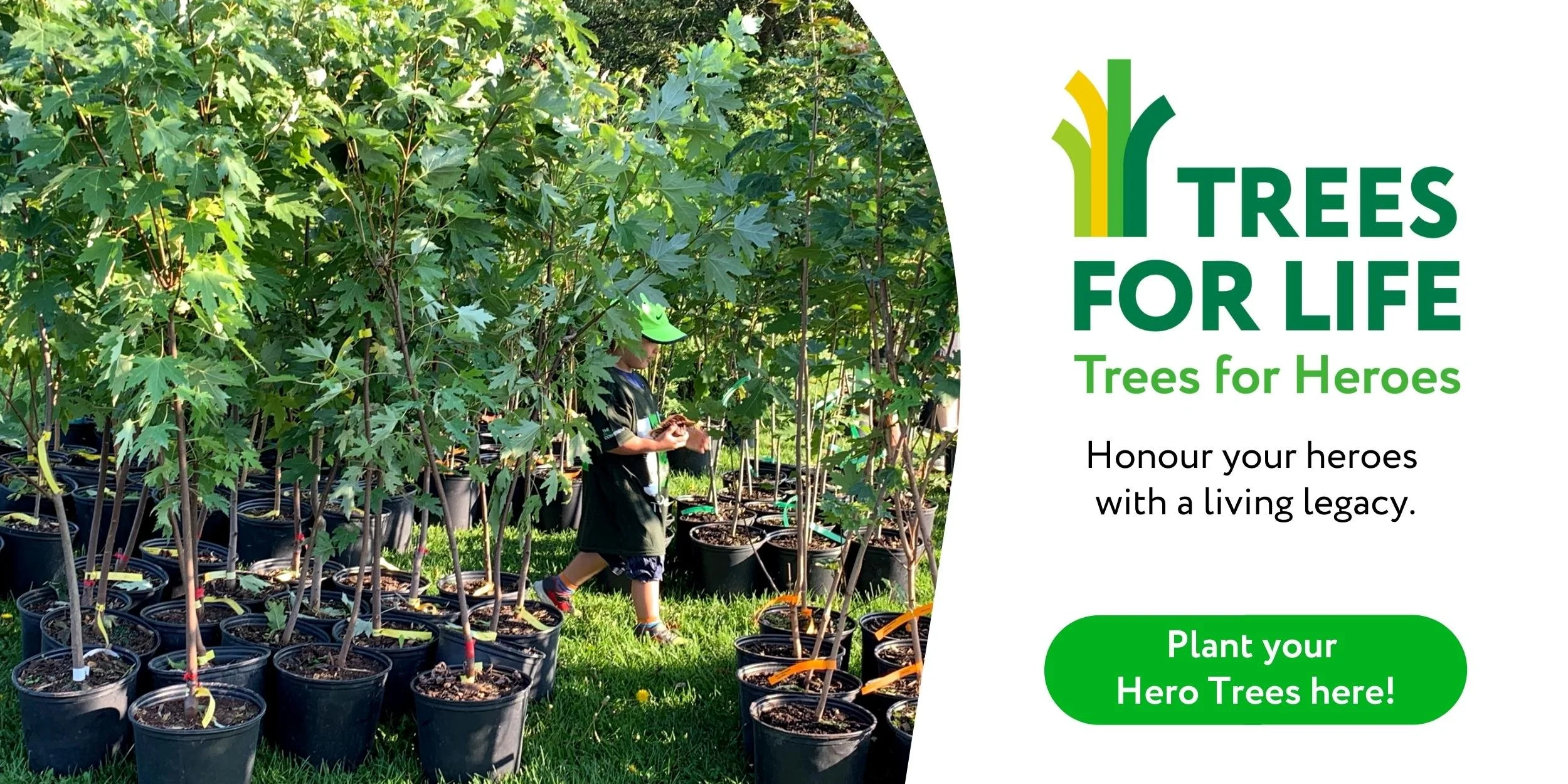 Canadian Trees for Life