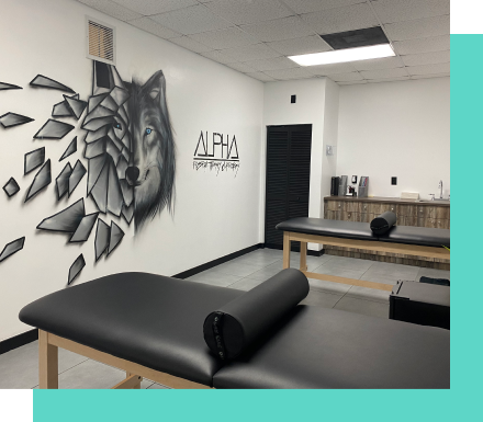 Alpha Physical Therapy and Recovery