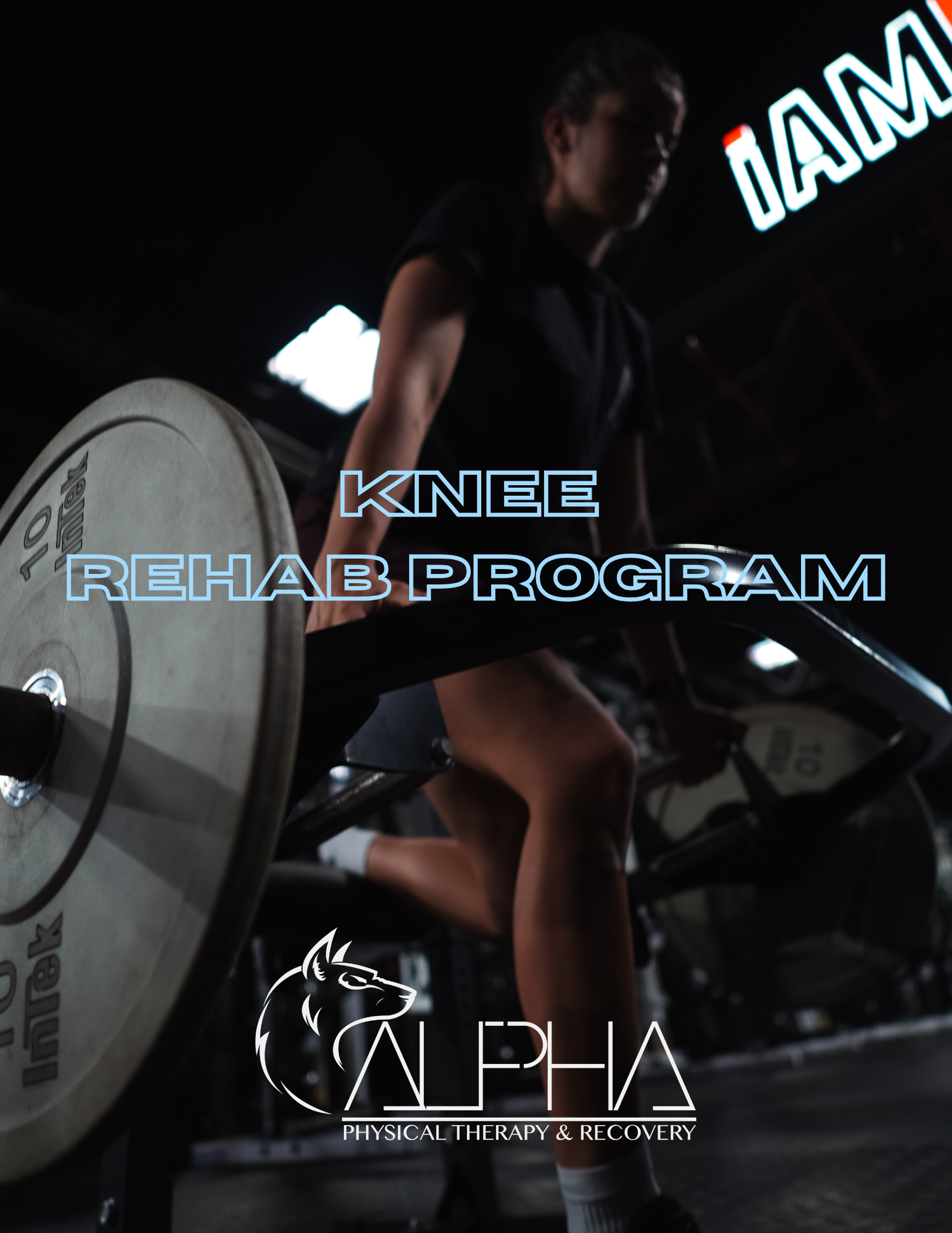 Alpha Physical Therapy and Recovery