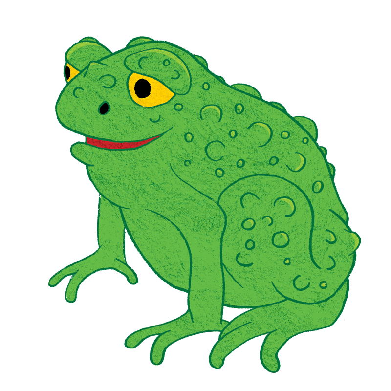 CJ Corki - Can You Find, Did You Know